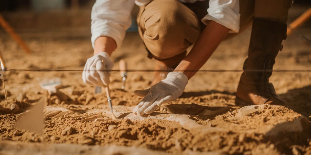 Magdala, a place of Encounter