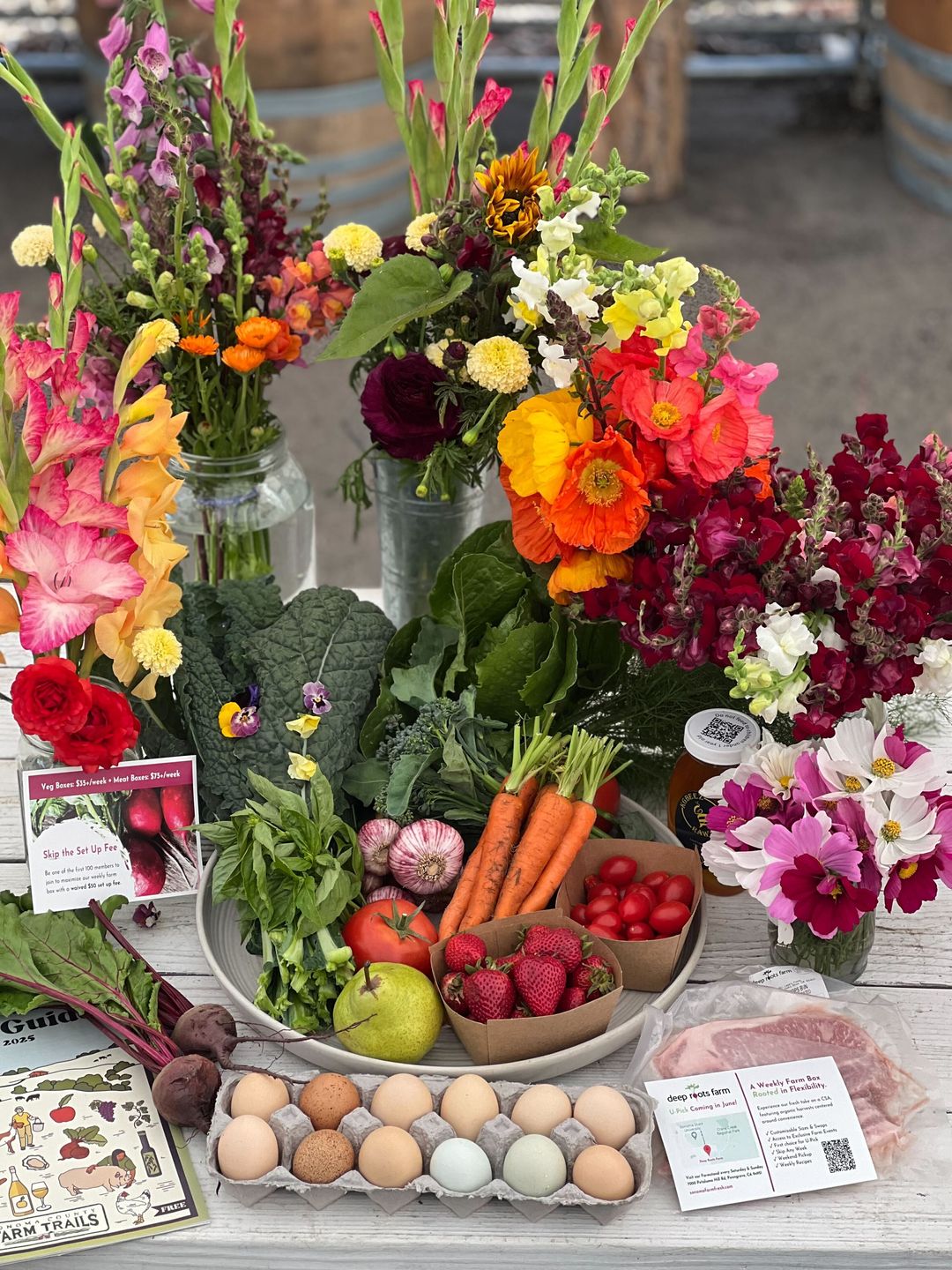 Deep Roots Farm | Penngrove, CA