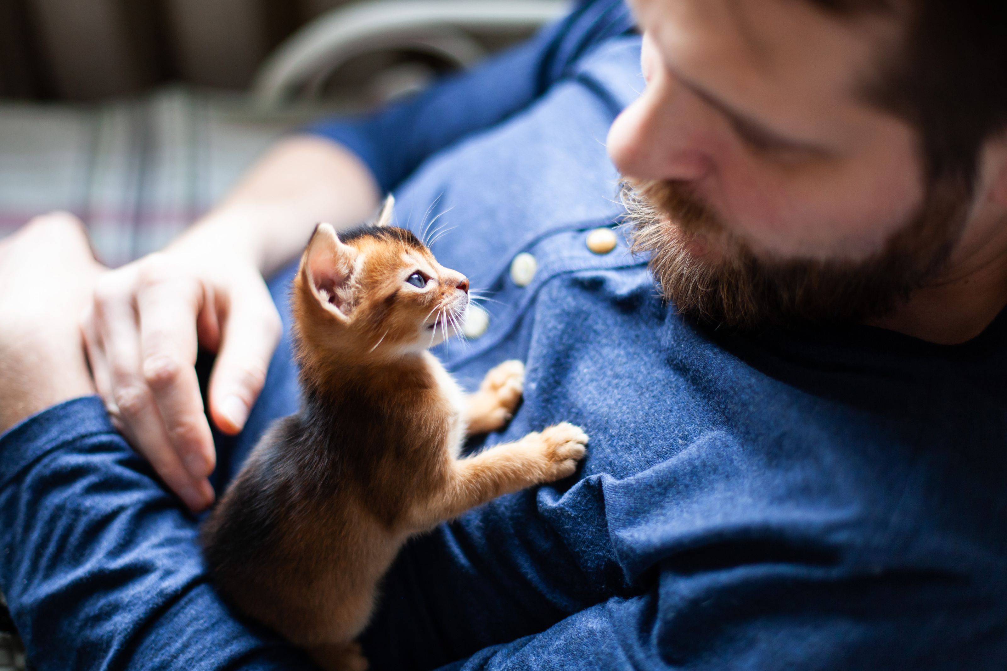 Hackney-Based Veterinary Care | Hello Vet