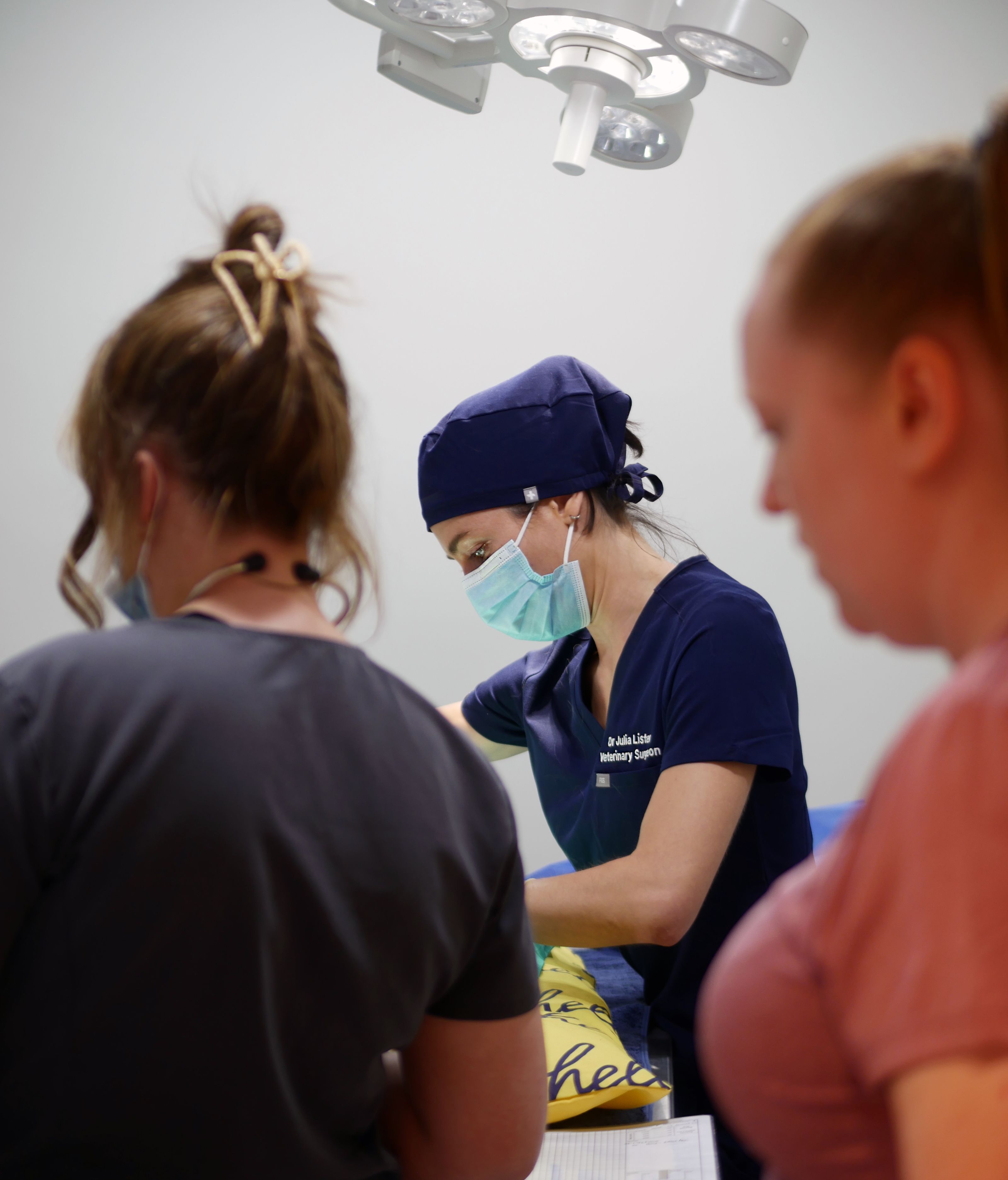 Hackney-Based Veterinary Care | Hello Vet