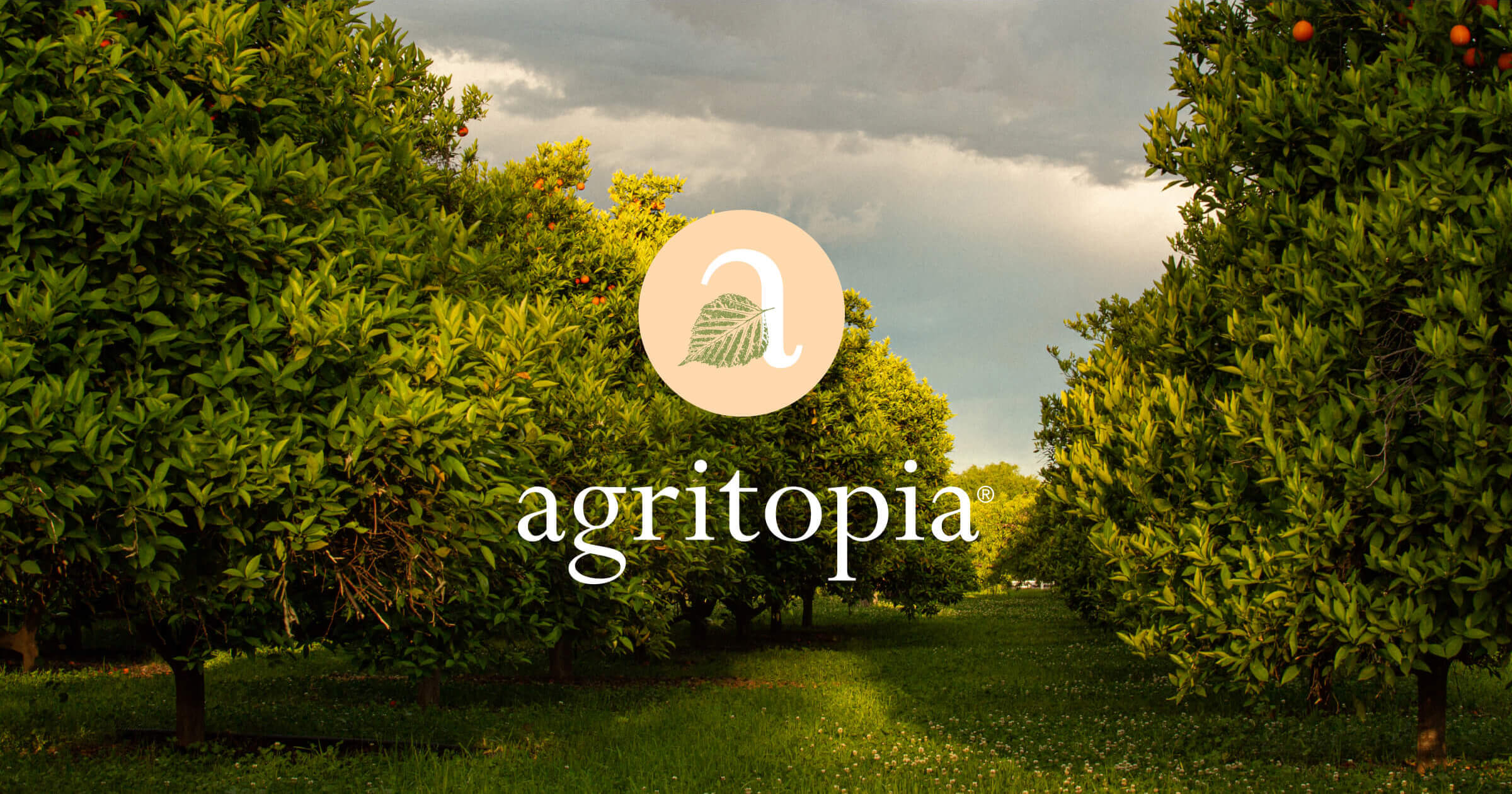 Map | Agritopia