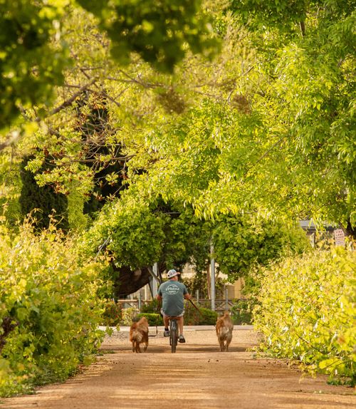 Agritopia | There's One Place Like Home