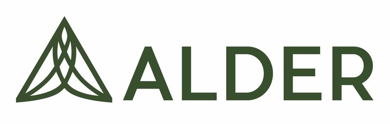 Our Companies | Orion Group