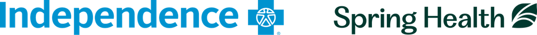 Spring Health - IBX - Mental Health Care - Therapy