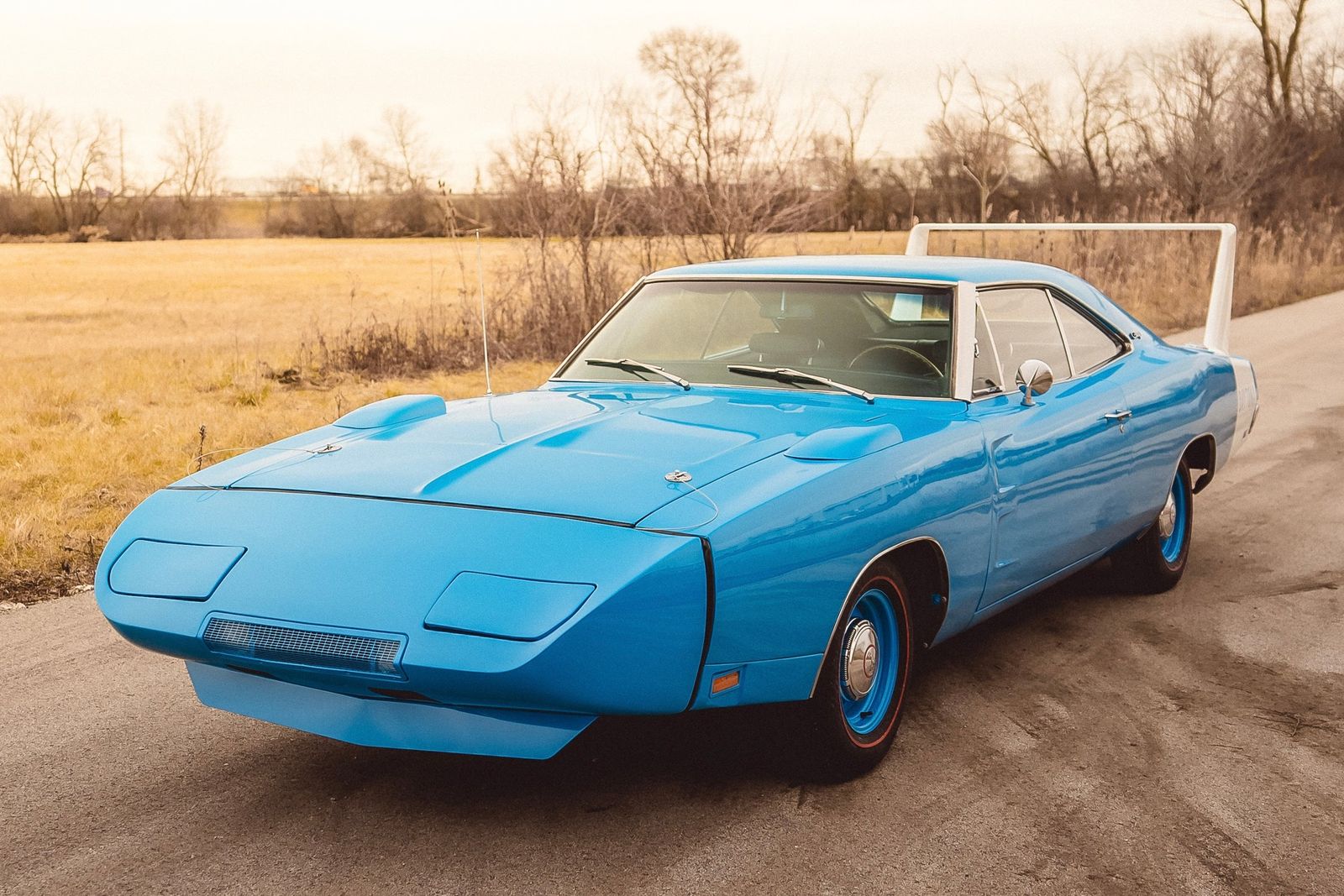 THE HAMILTON COLLECTION RENTALS