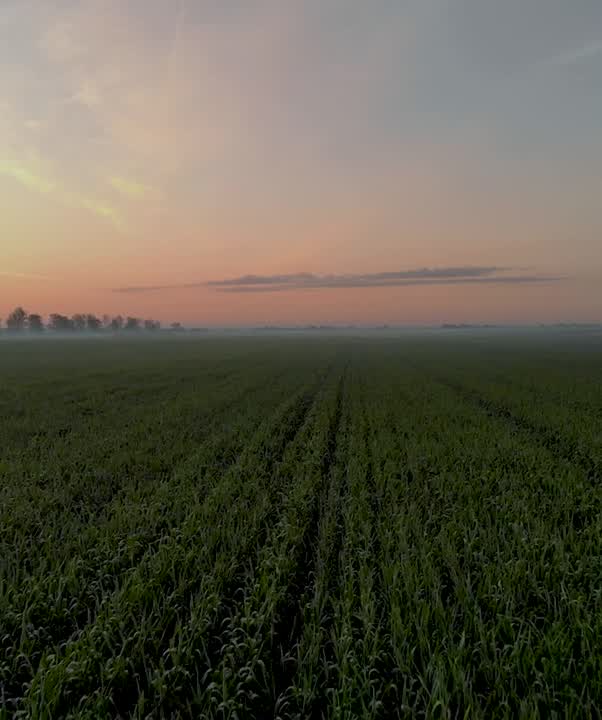 Own Best Managed Farmland near Bangalore | Hasiru Farms