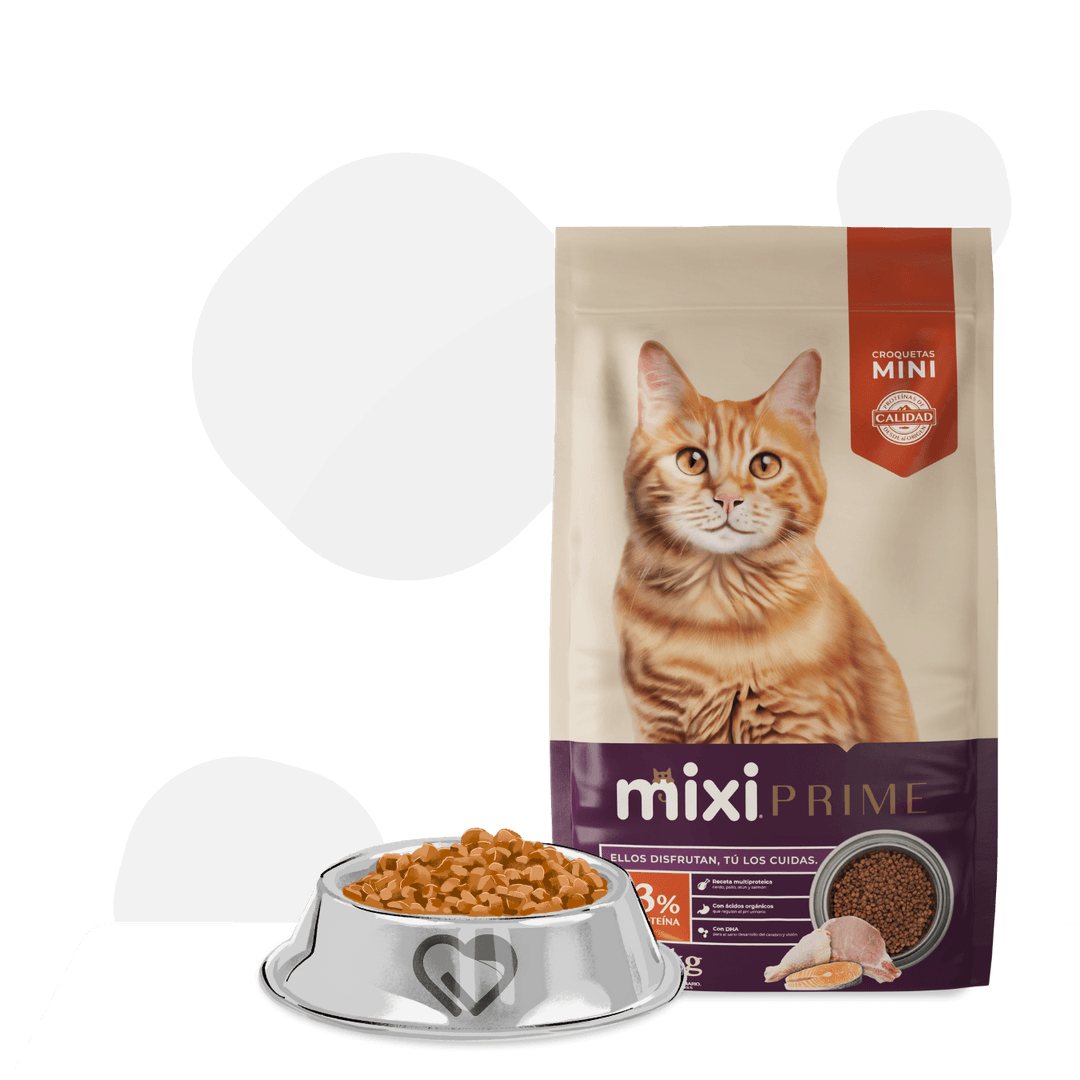 MIXI® | Croquetas mini