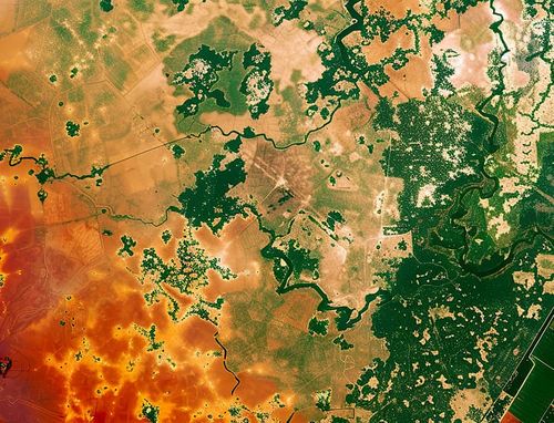 NDVI Explained: Understanding the Normalized Difference Vegetation Index