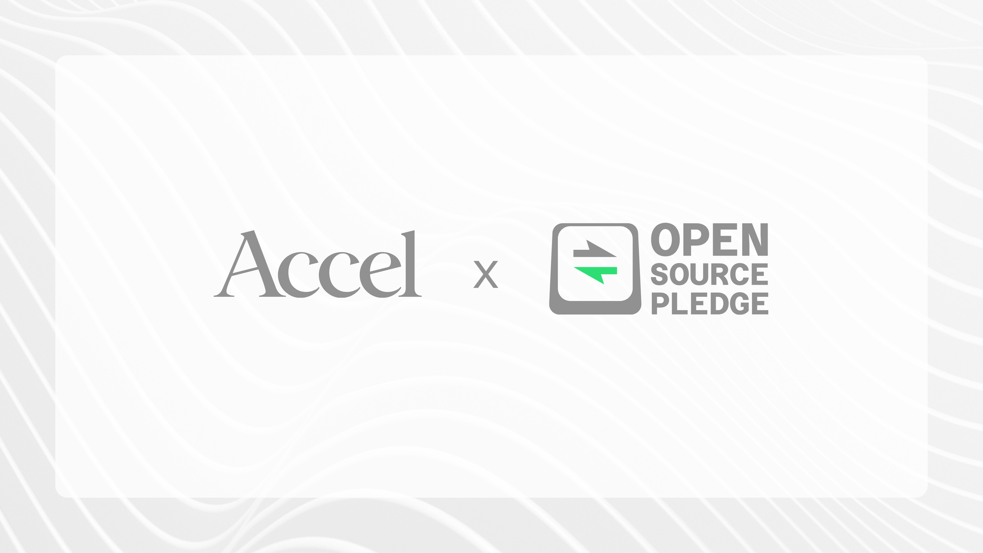 Accel - News