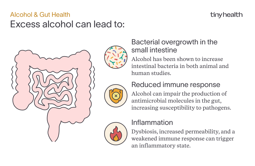 Drinking Alcohol and Gut Health: Does Alcohol Kill Gut Bacteria?