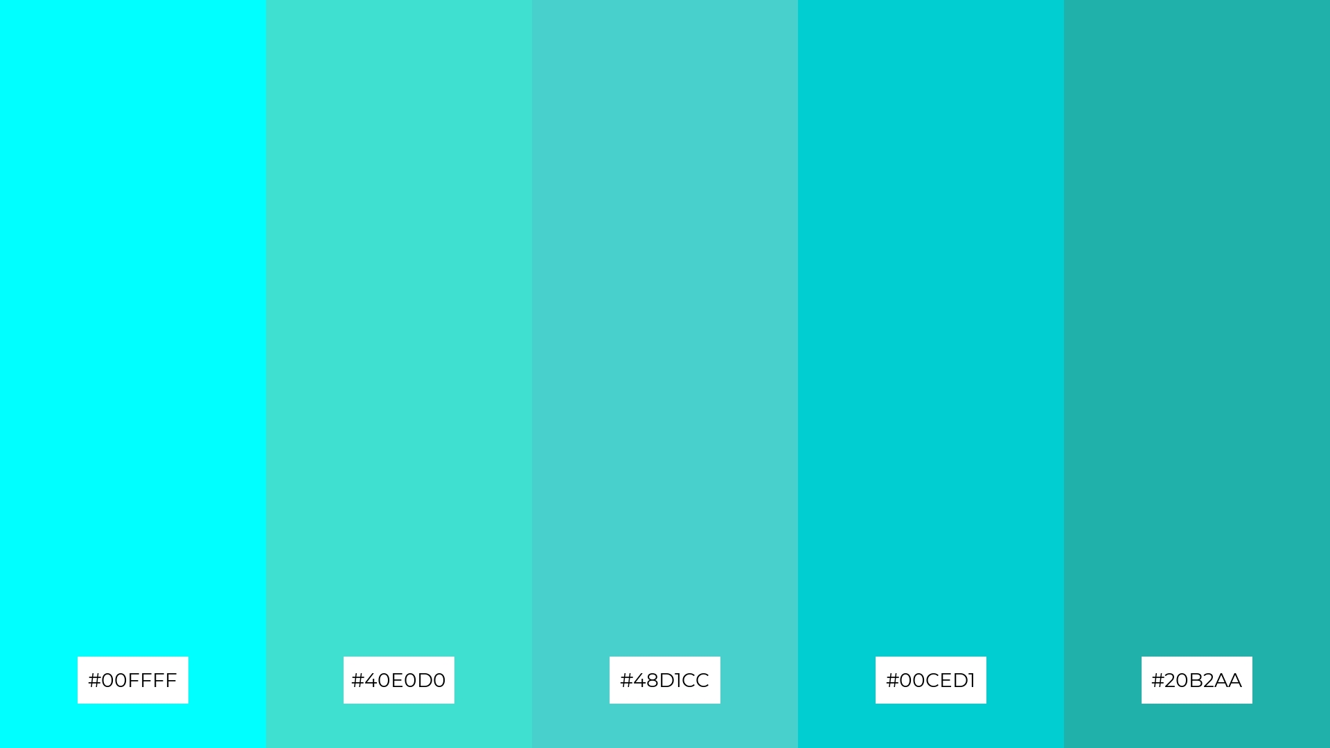 The Best 15 Cyan Color Palette Combinations