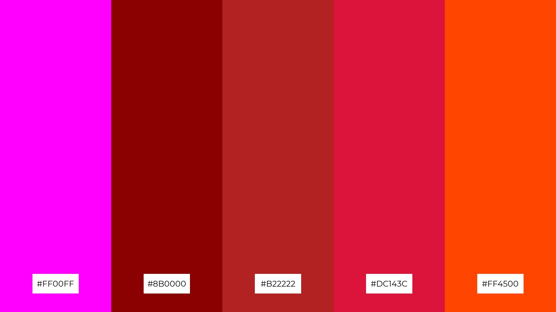 The Best 15 Magenta Color Palette Combinations