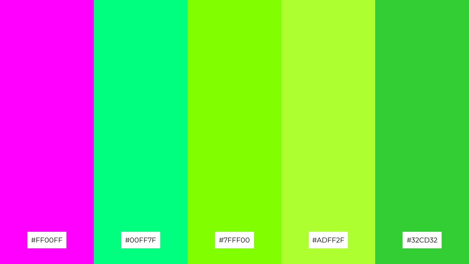 The Best 15 Magenta Color Palette Combinations