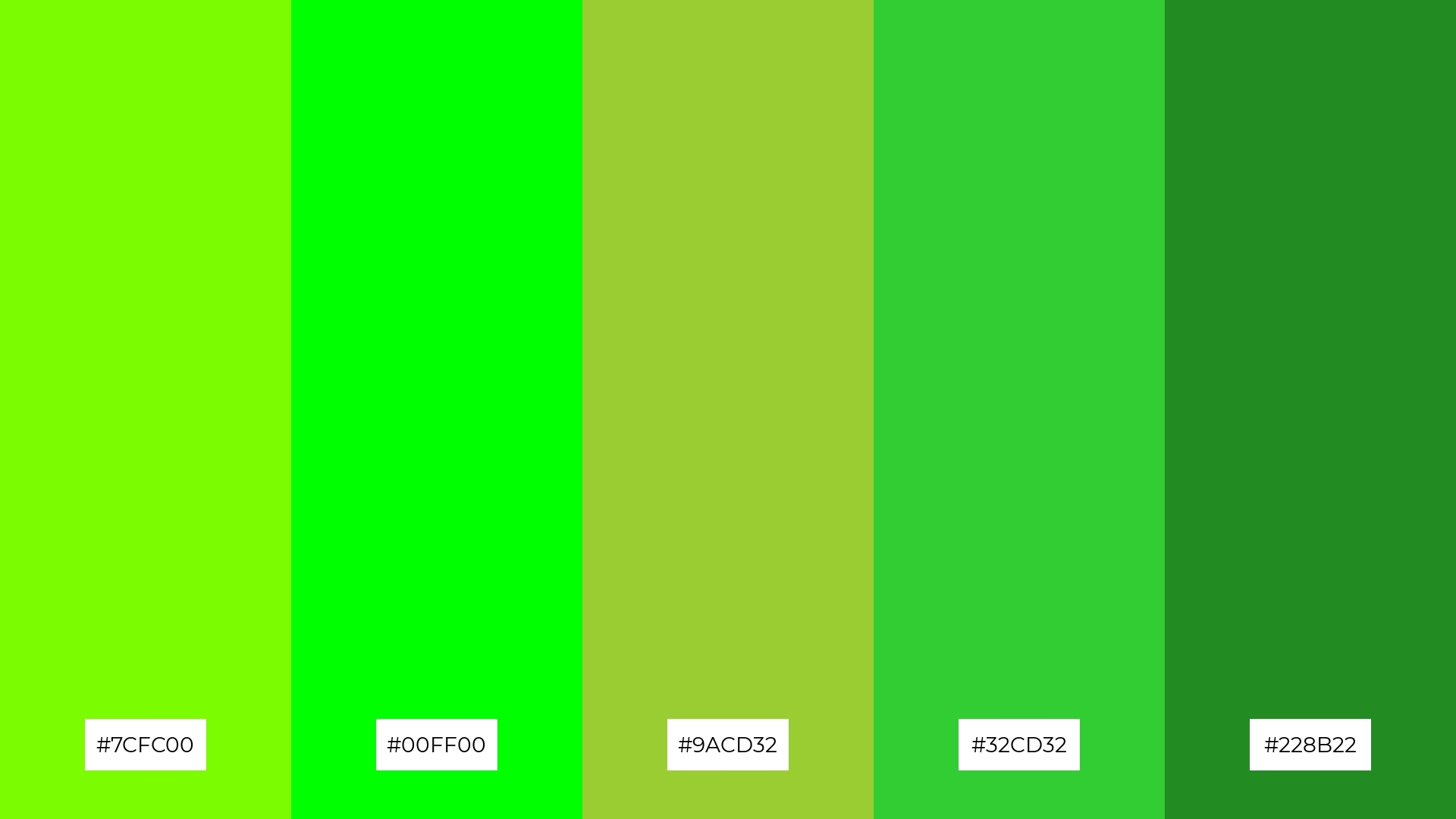 The Best 15 Yellow Green Color Palette Combinations