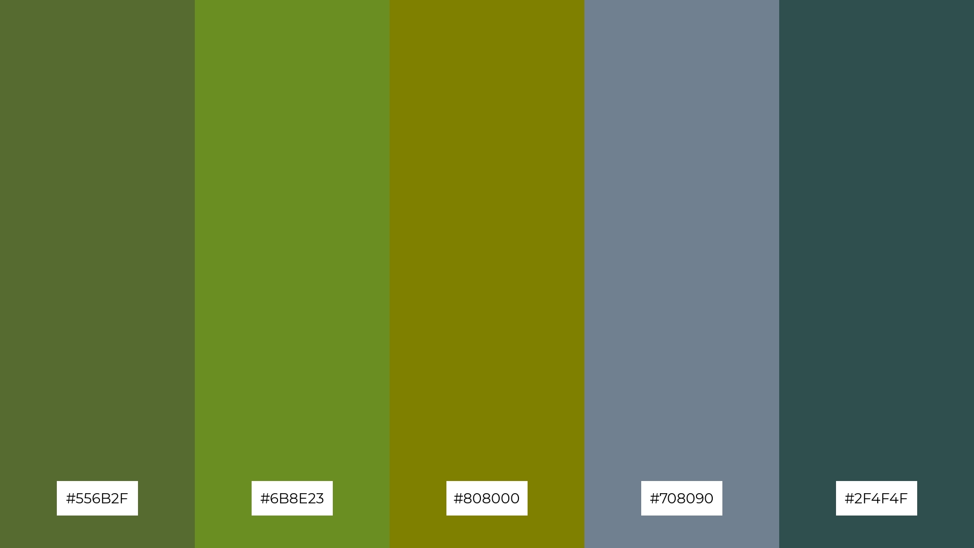 The Best 15 Slate Gray Color Palette Combinations