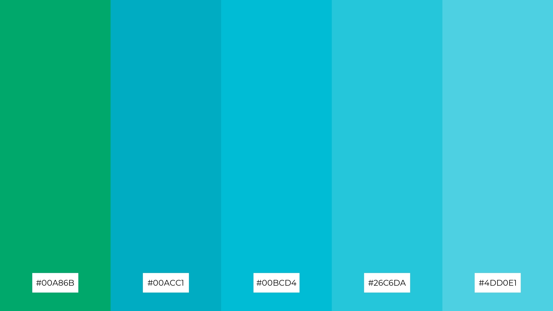 The Best 15 Jade Color Palette Combinations