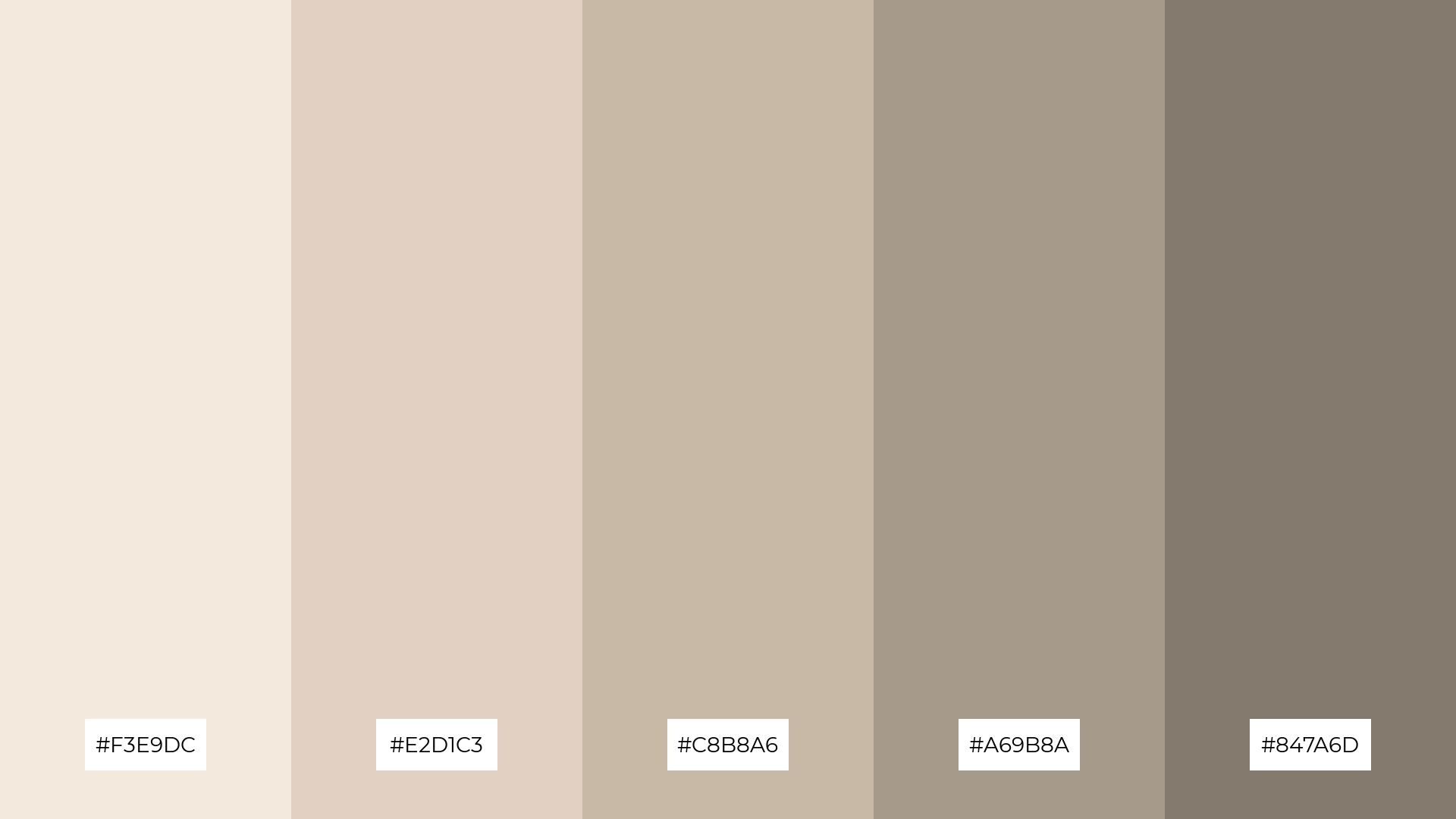 The Best 15 Eggshell Color Palette Combinations