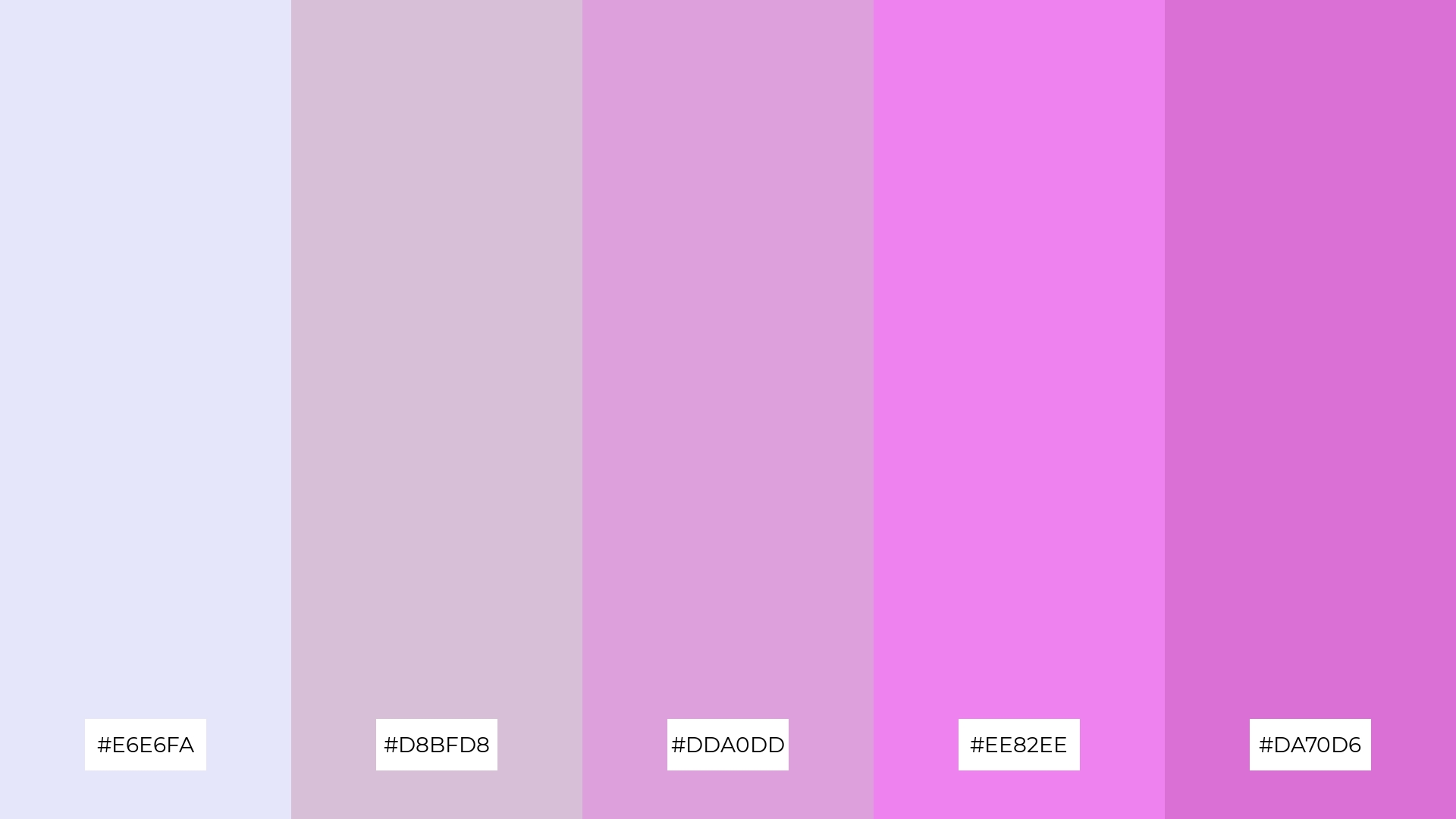 The Best 15 Pale Lavender Color Palette Combinations