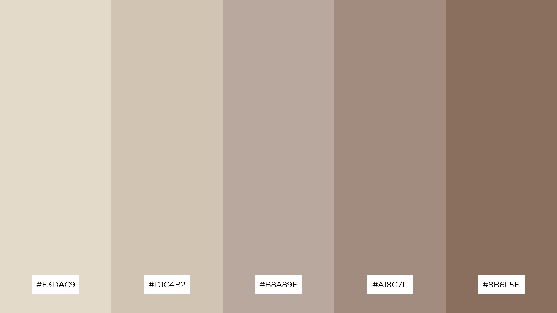 The Best 15 Bone Color Palette Combinations