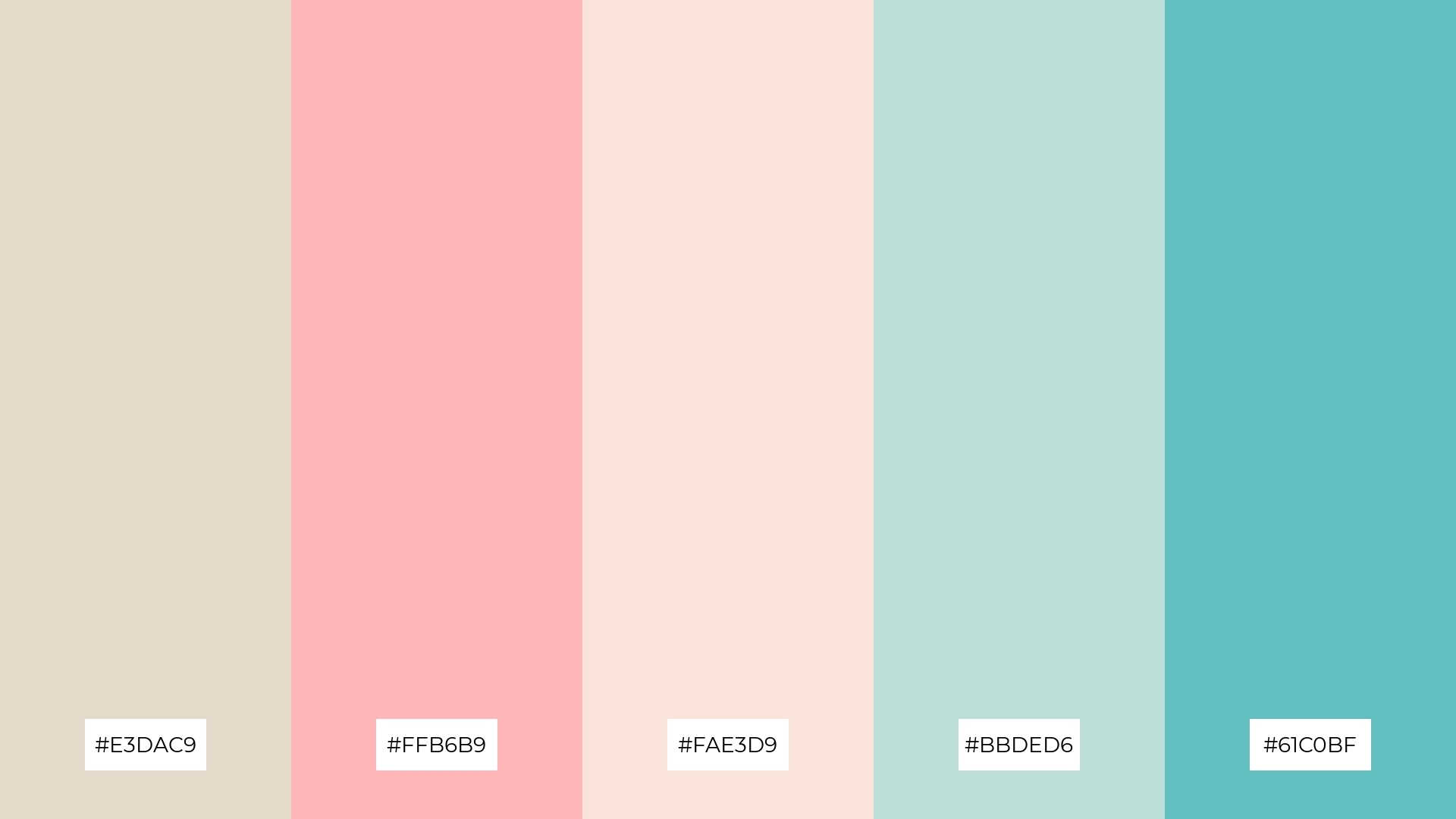 The Best 15 Bone Color Palette Combinations