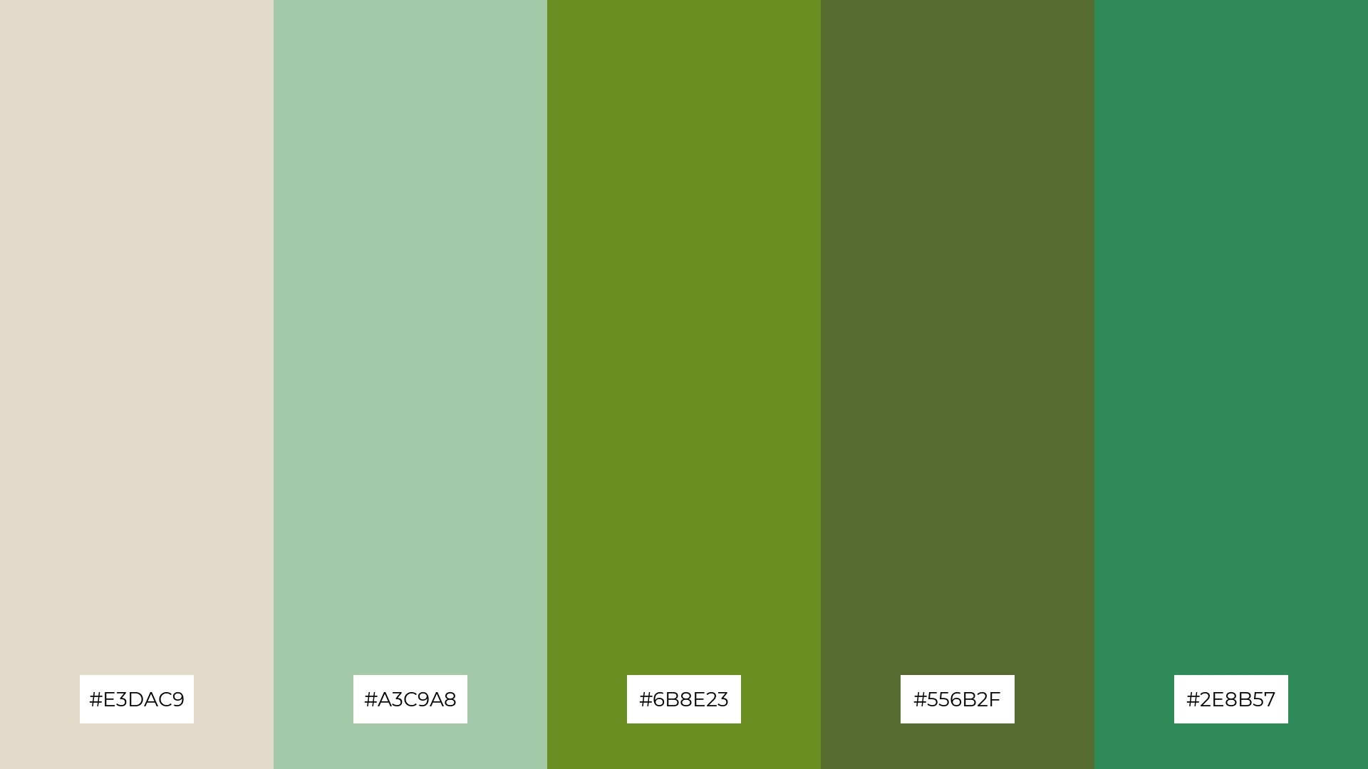 The Best 15 Bone Color Palette Combinations