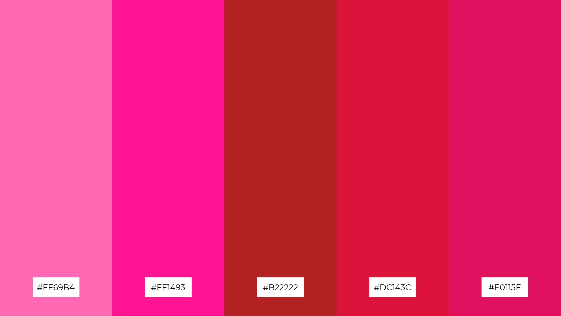 The Best 15 Ruby Color Palette Combinations