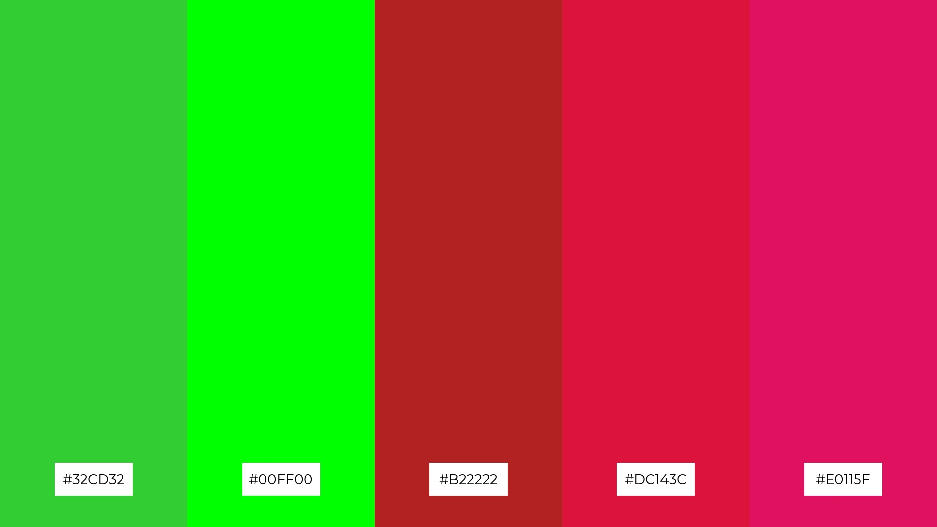 The Best 15 Ruby Color Palette Combinations
