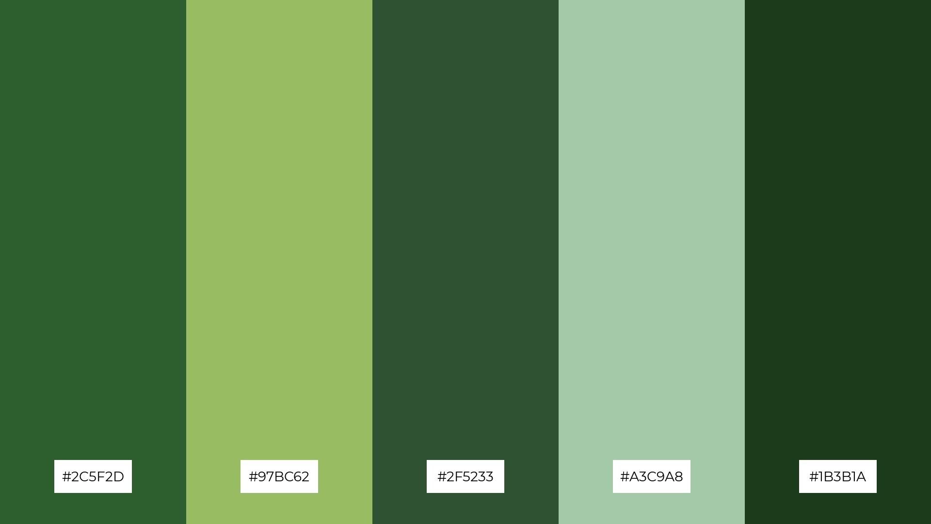 The Best 15 Bottle Green Color Palette Combinations
