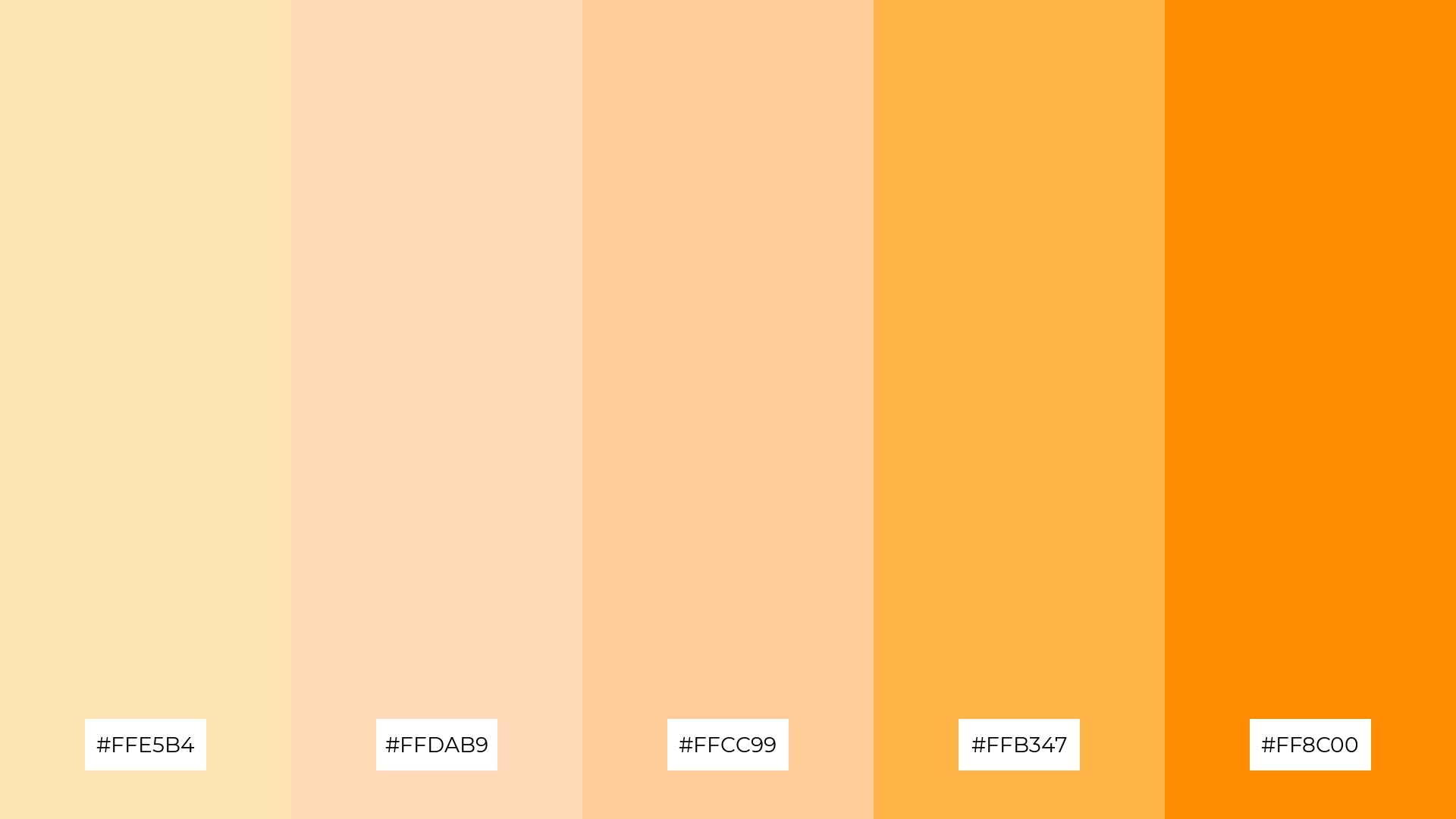 The Best 15 Light Apricot Color Palette Combinations