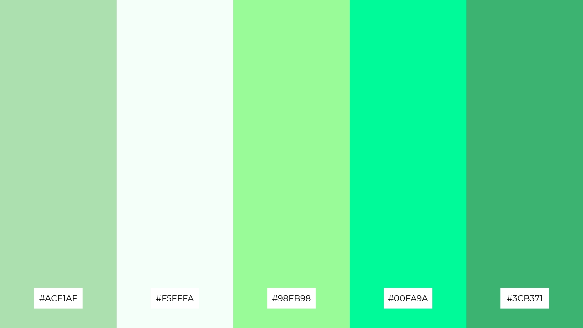 The Best 15 Celadon Color Palette Combinations