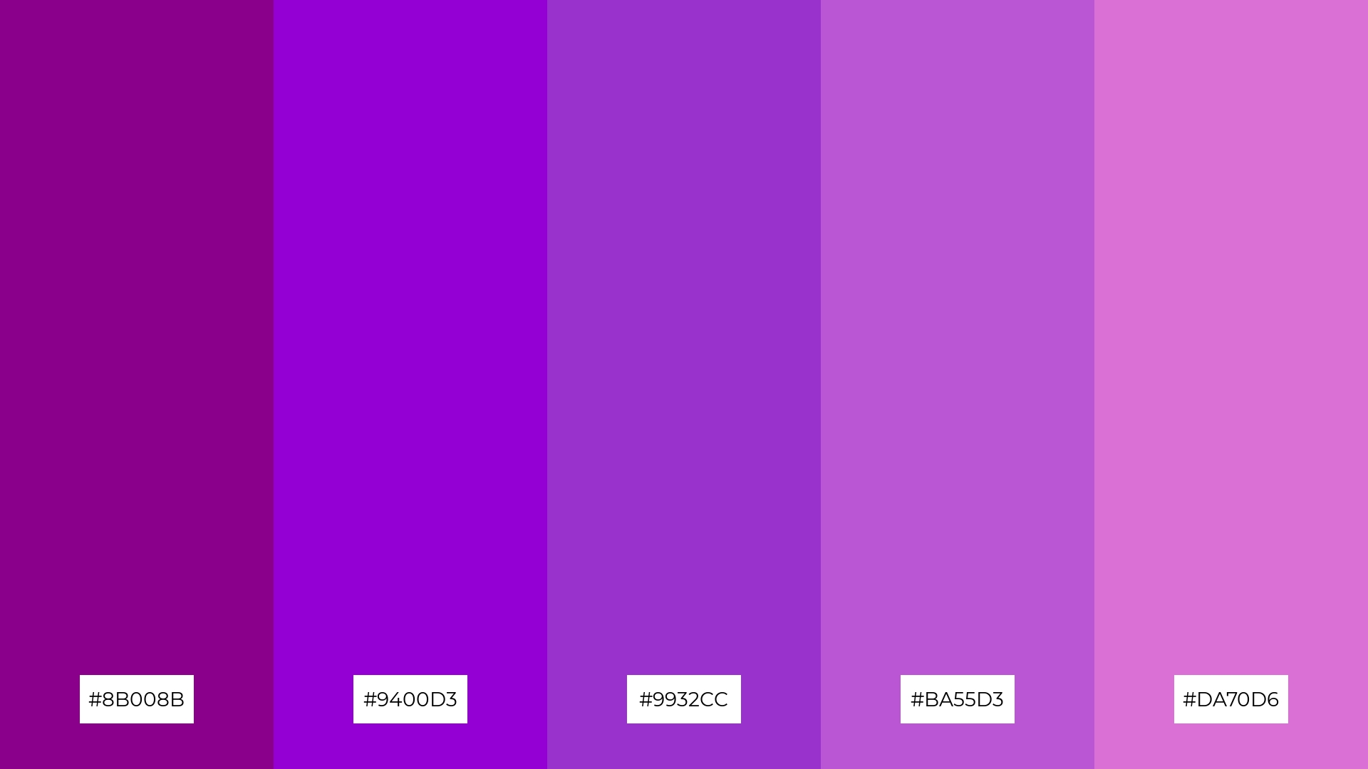 The Best 15 Ube Color Palette Combinations