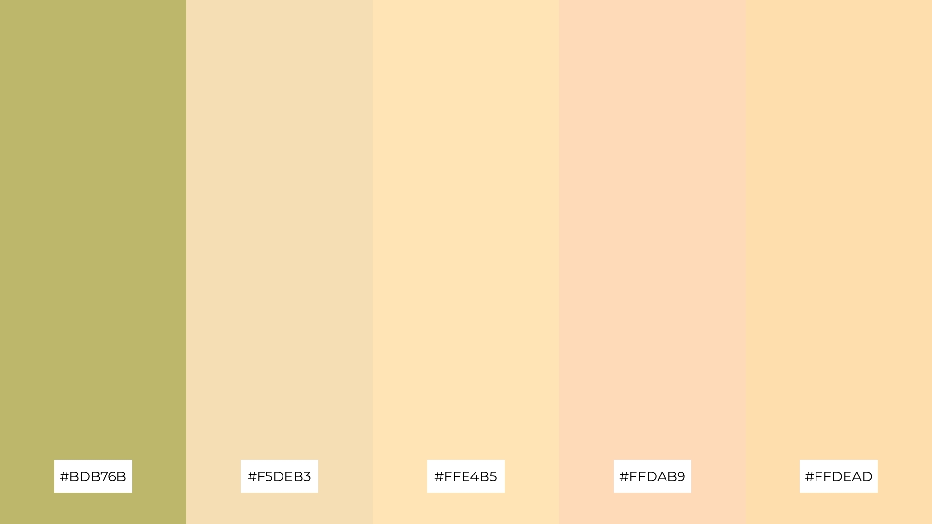 The Best 15 Dark Khaki Color Palette Combinations