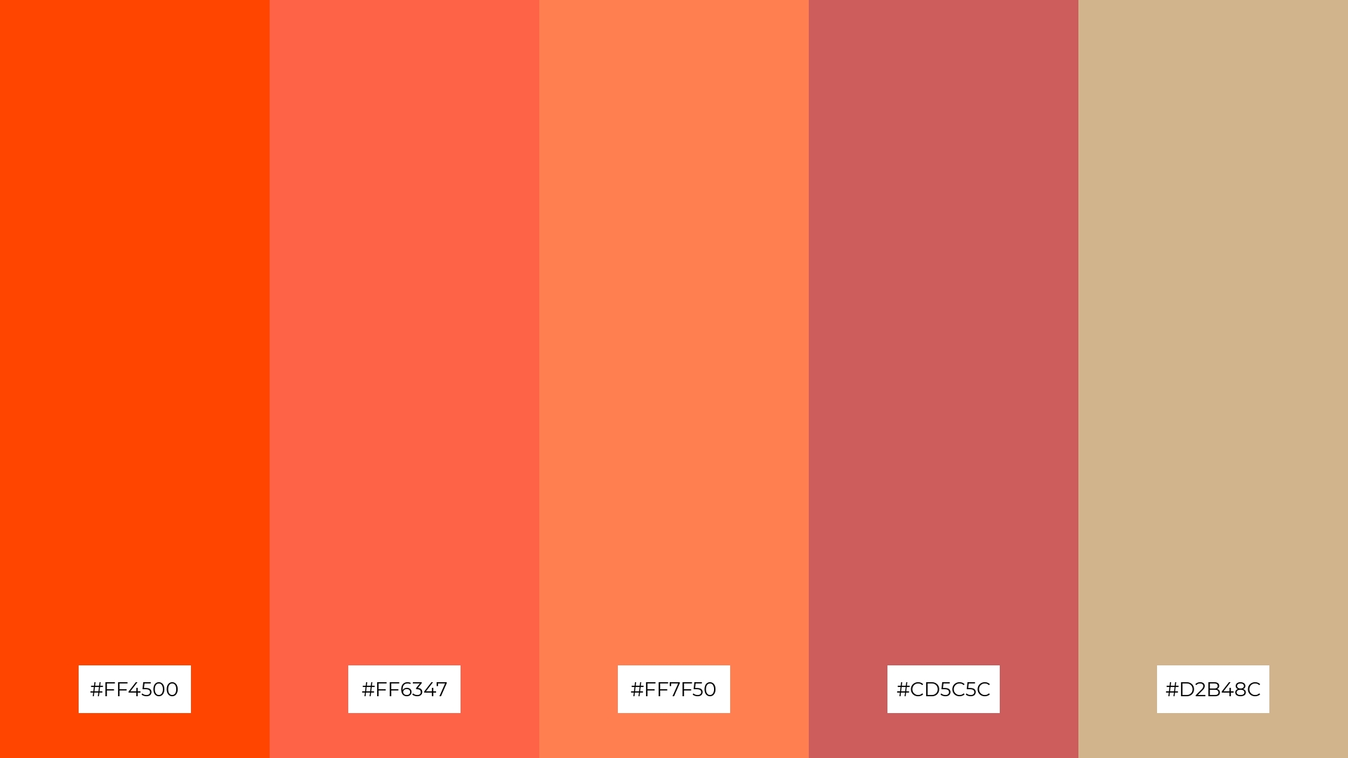 The Best 15 Tawny Color Palette Combinations