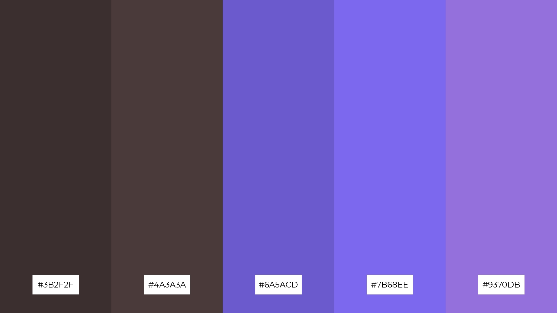 The Best 15 Wenge Color Palette Combinations