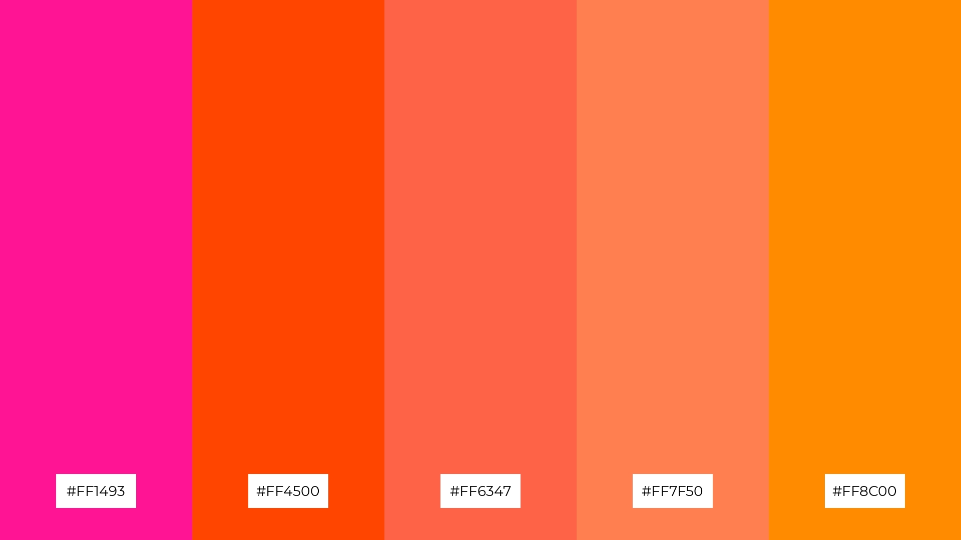 The Best 15 Deep Pink Color Palette Combinations