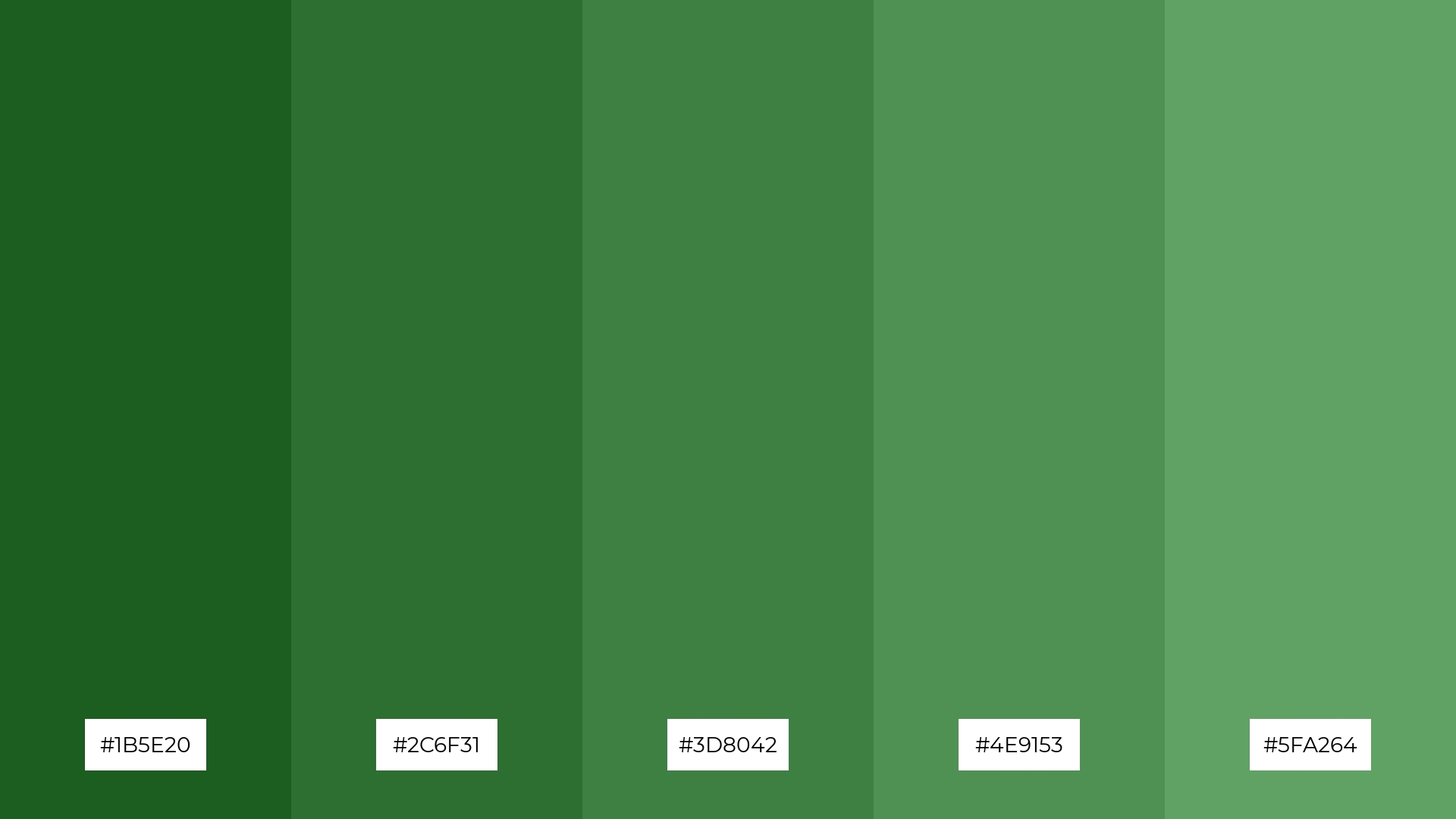 The Best 15 Sap Green Color Palette Combinations