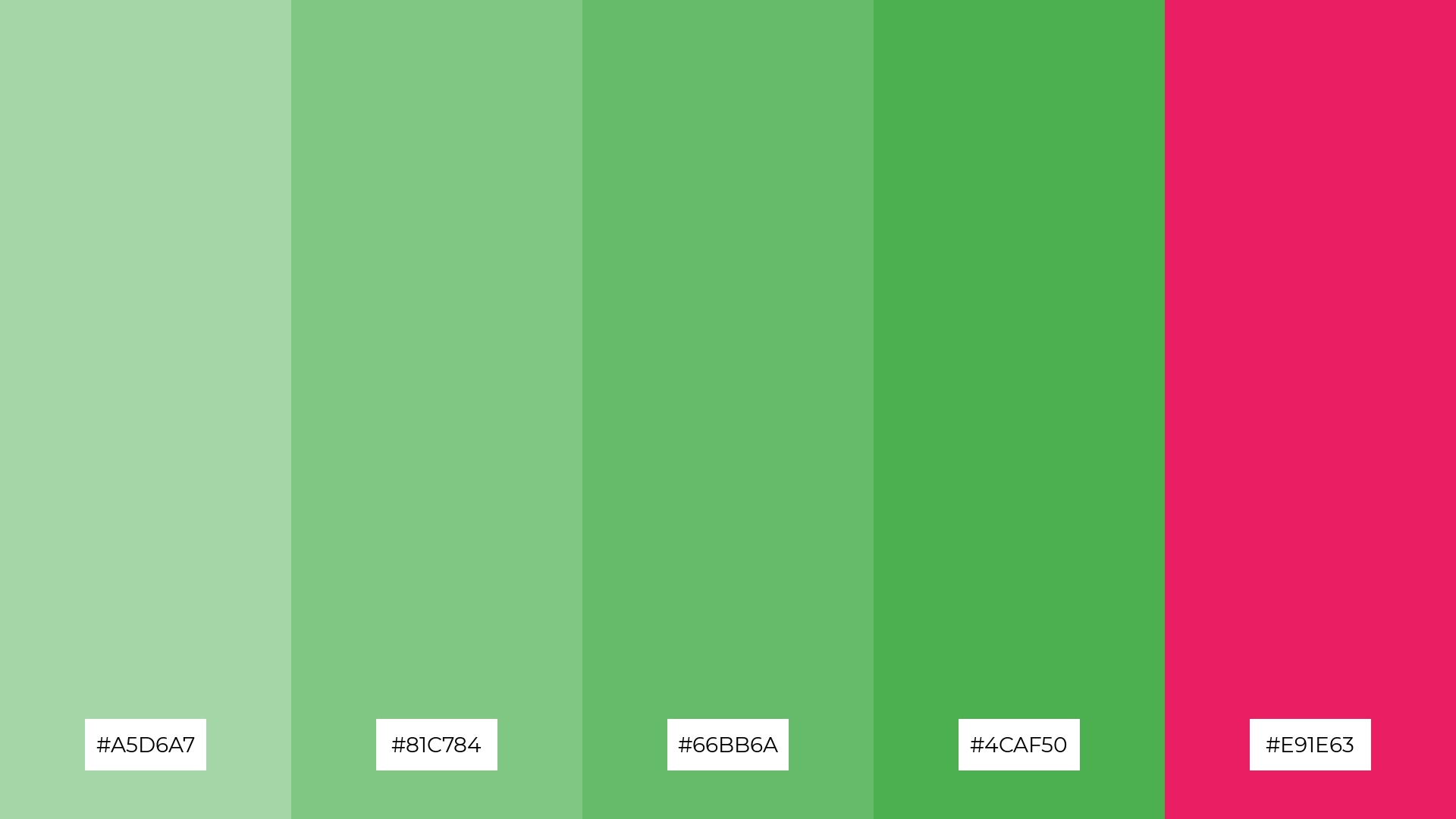 The Best 15 Raspberry Pink Color Palette Combinations