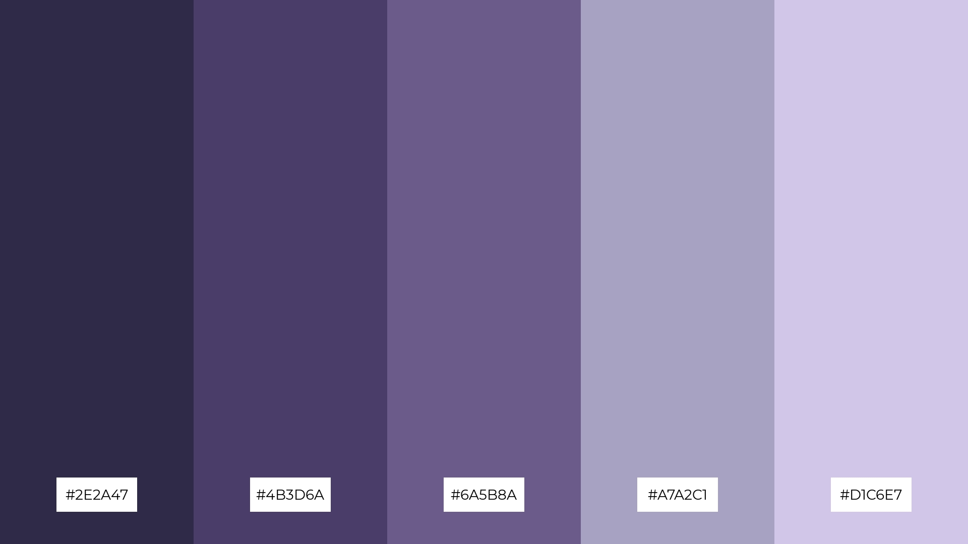 The Best 15 Aesthetic Color Palette Combinations