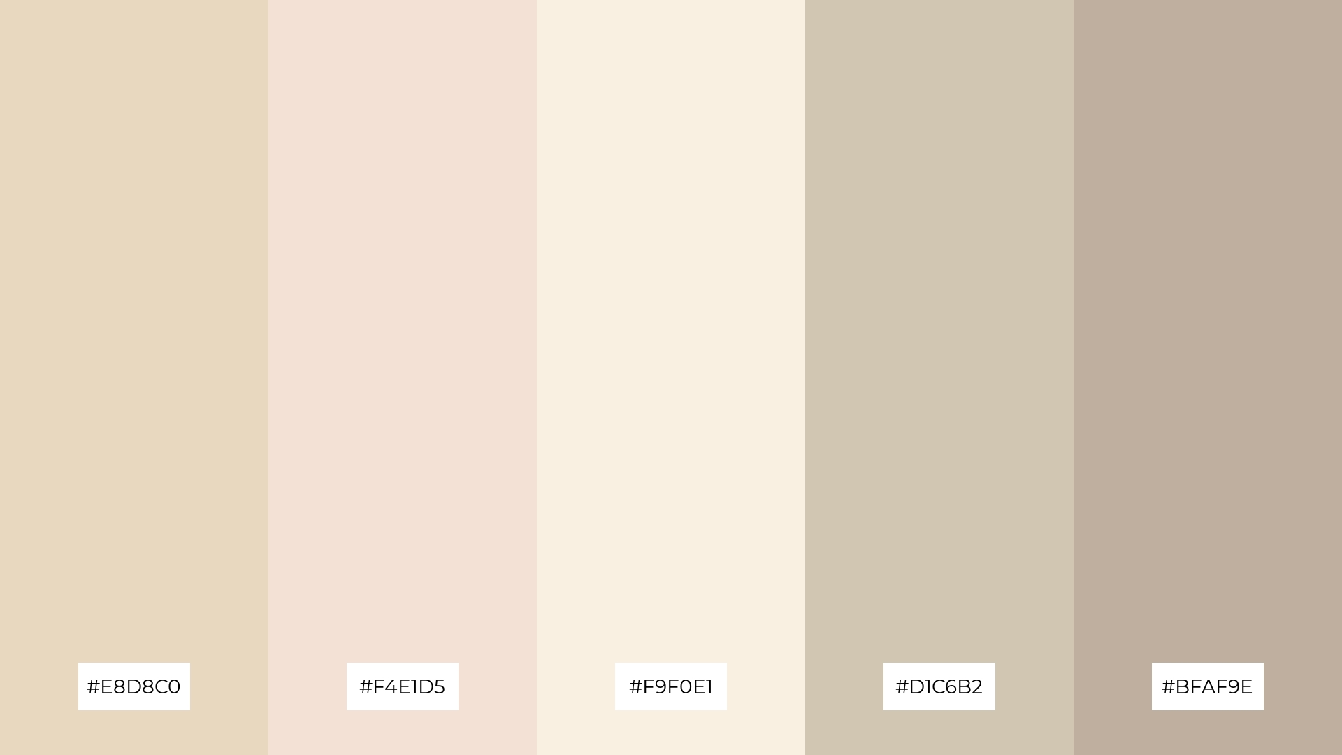 The Best 15 Coffee Color Palette Combinations