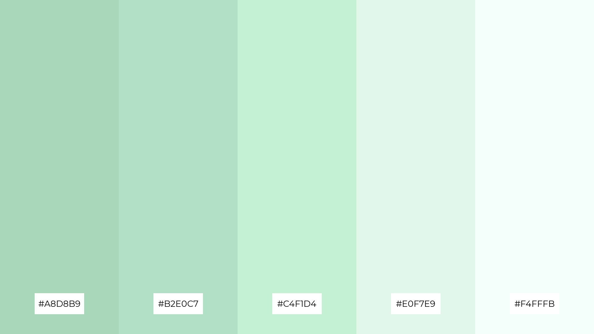 The Best 15 Fresh Color Palette Combinations