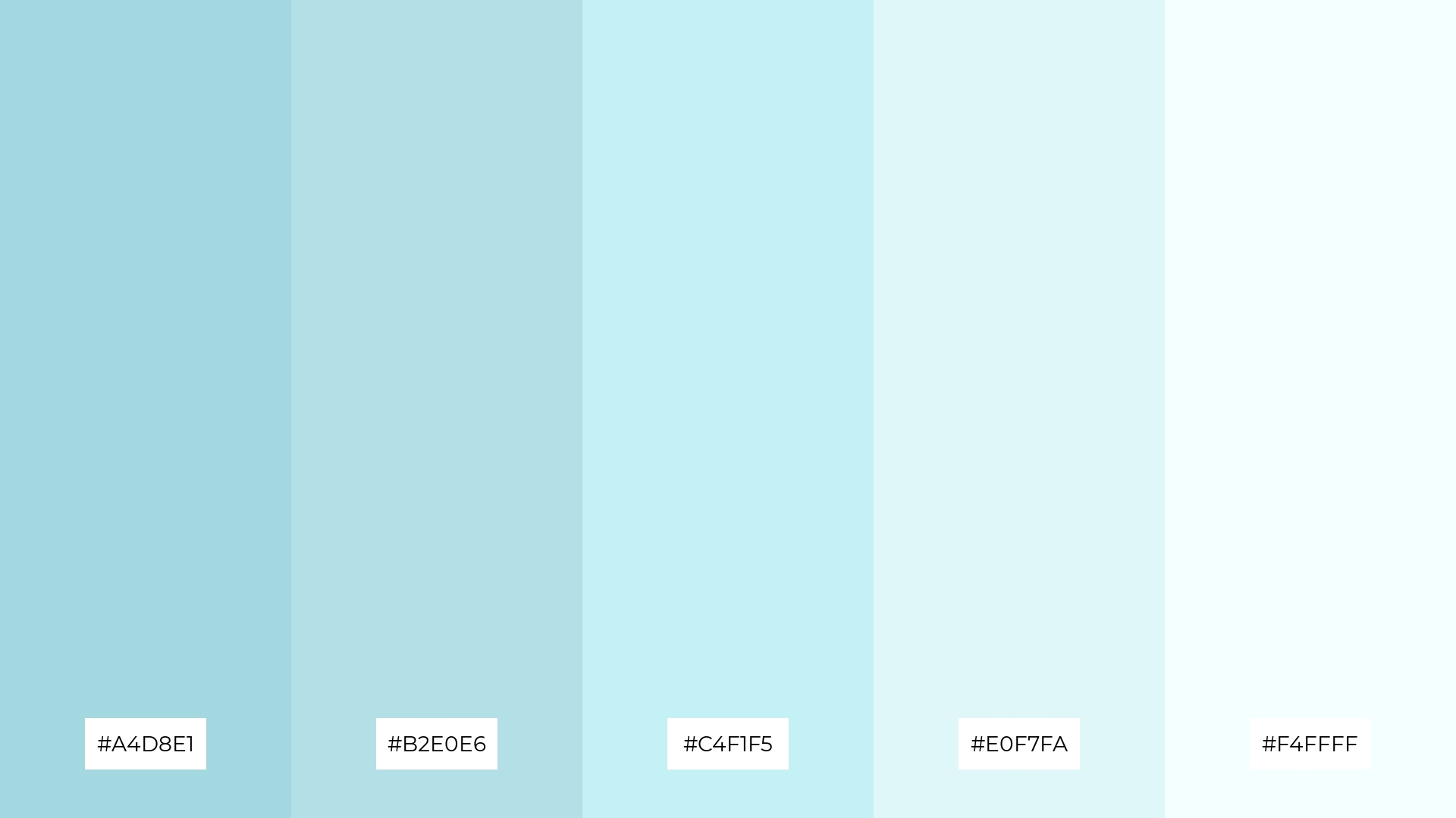 The Best 15 Fresh Color Palette Combinations