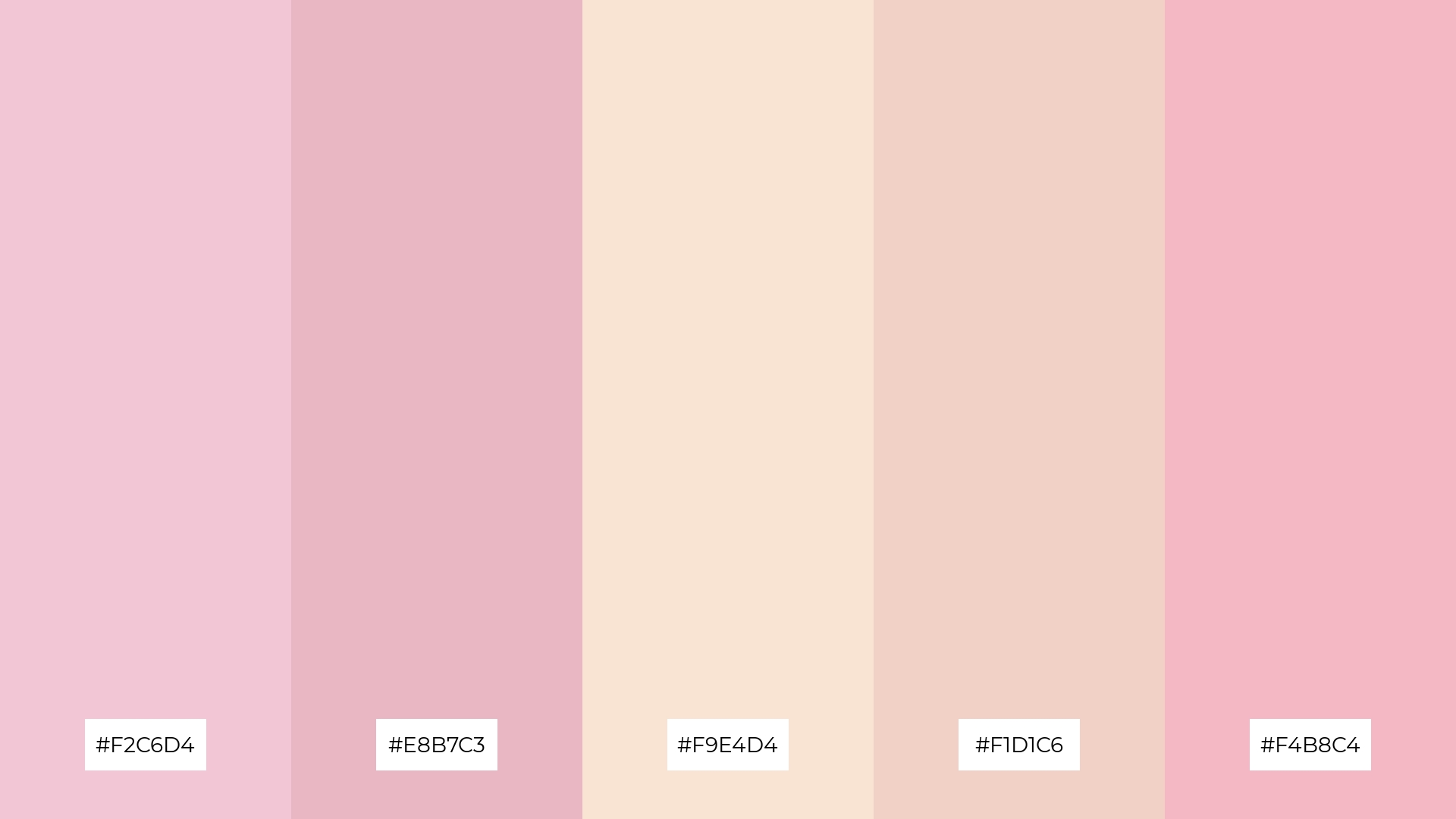 The Best 15 Pink Cream Color Palette Combinations