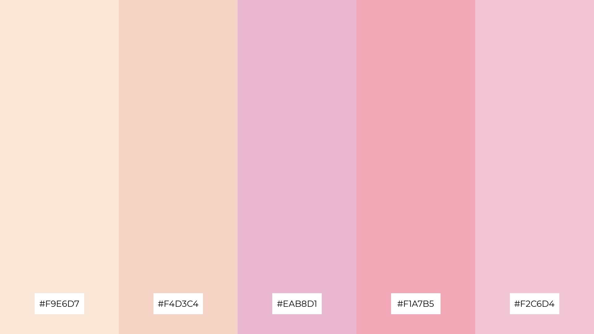 The Best 15 Pink Cream Color Palette Combinations