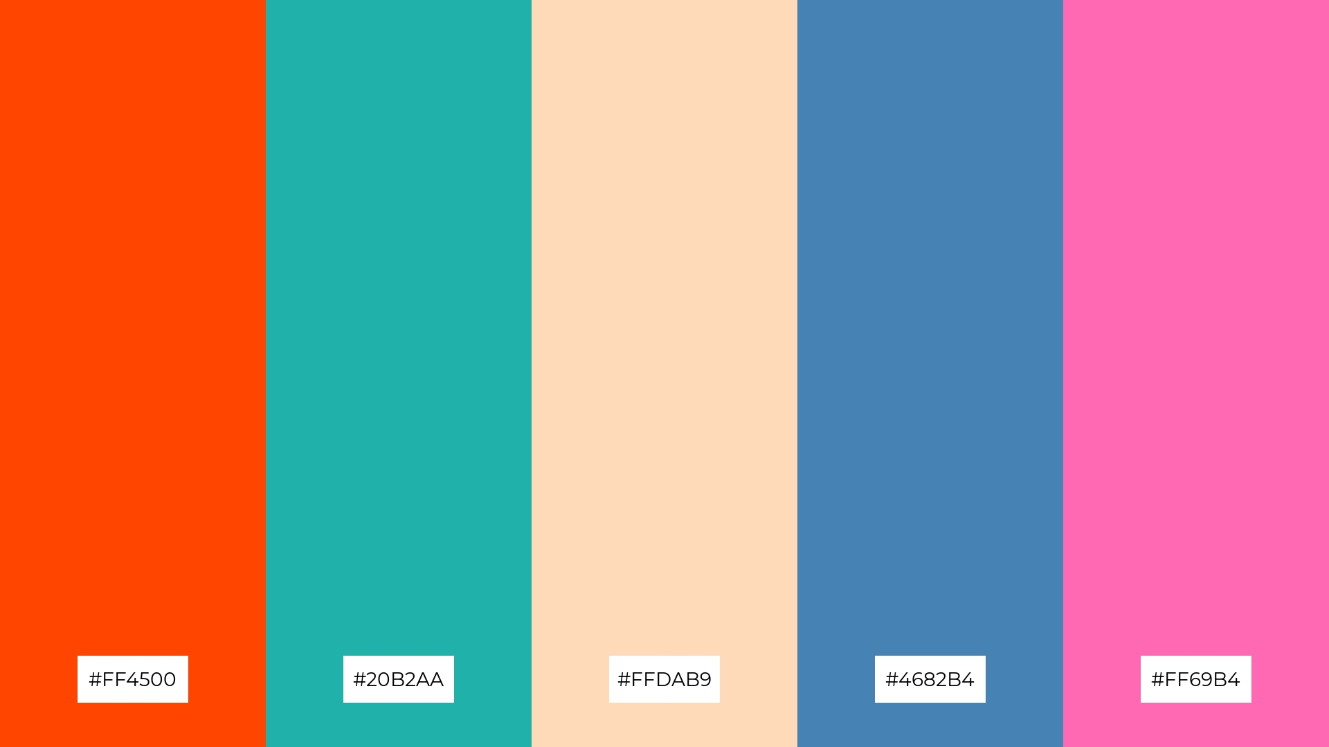 The Best 15 Teal Coral Color Palette Combinations