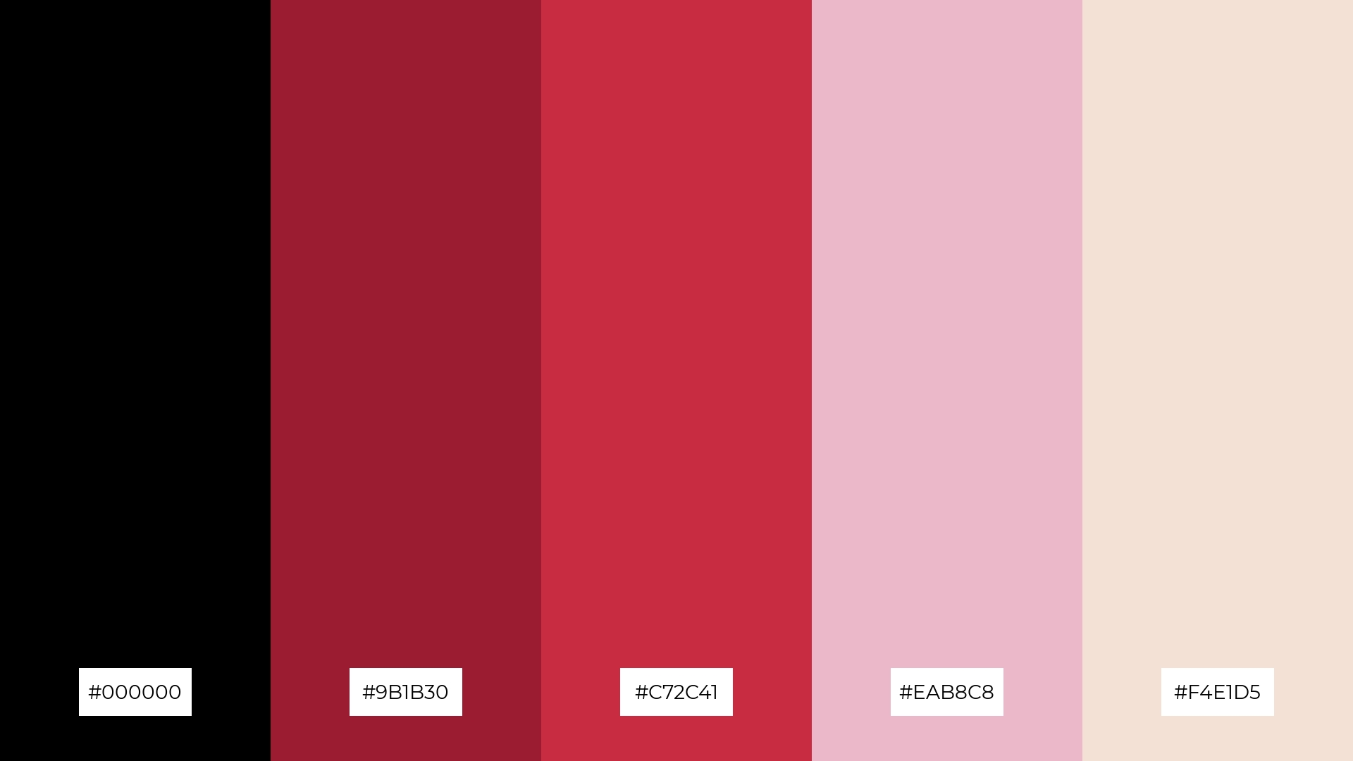 The Best 15 Black Burgundy Color Palette Combinations