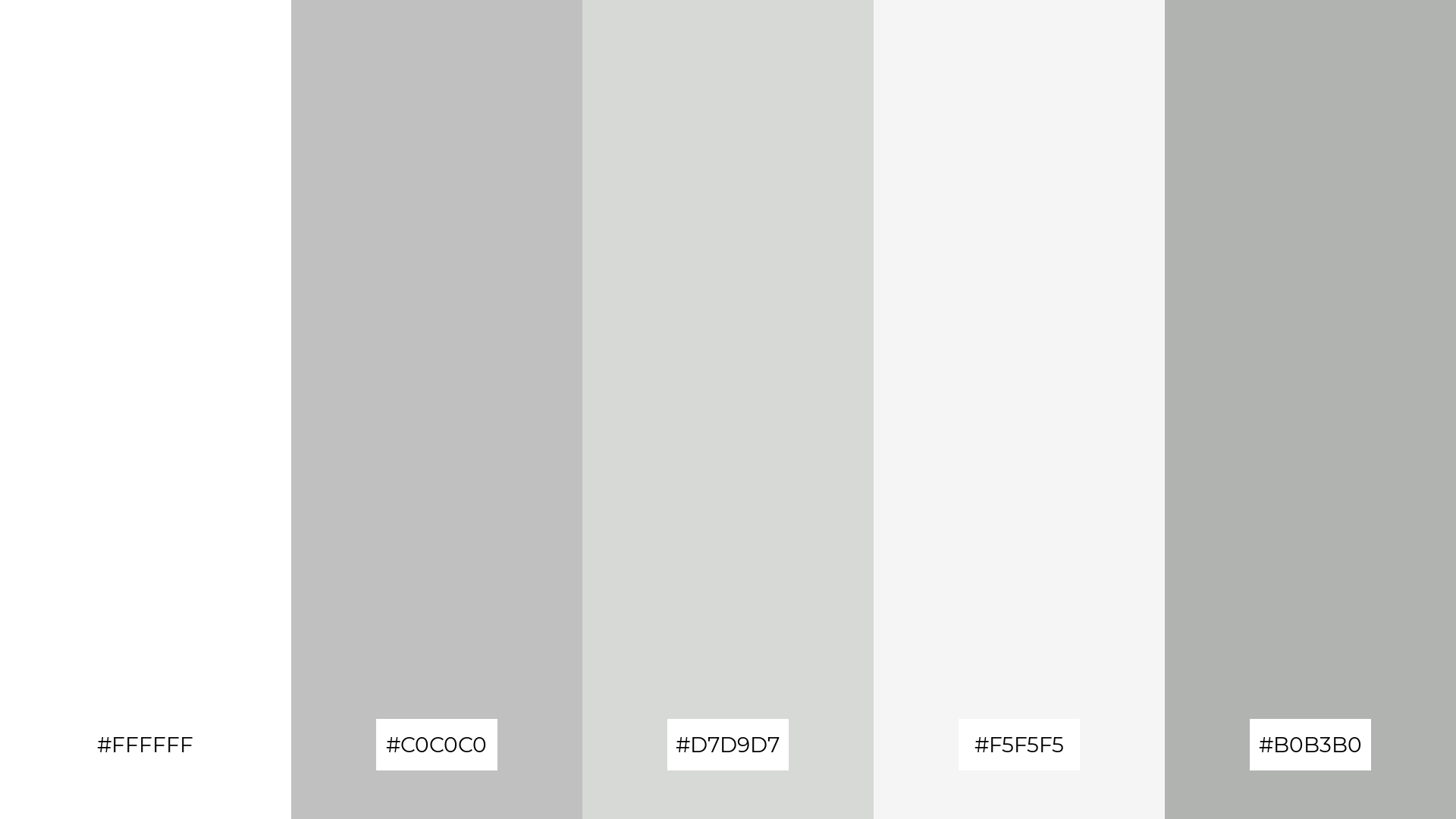 The Best 15 White Silver Color Palette Combinations