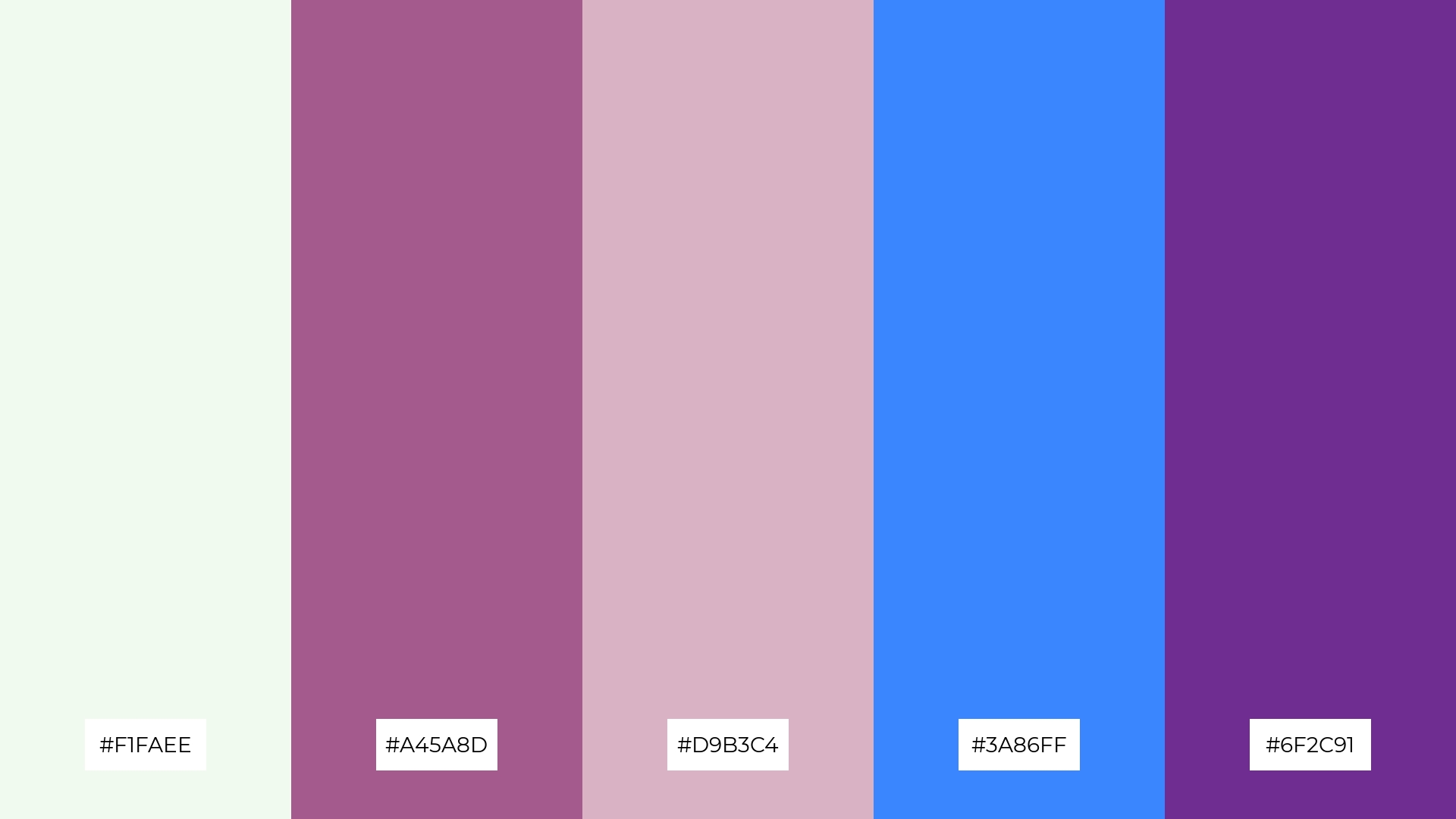 The Best 15 Blue Burgundy Color Palette Combinations