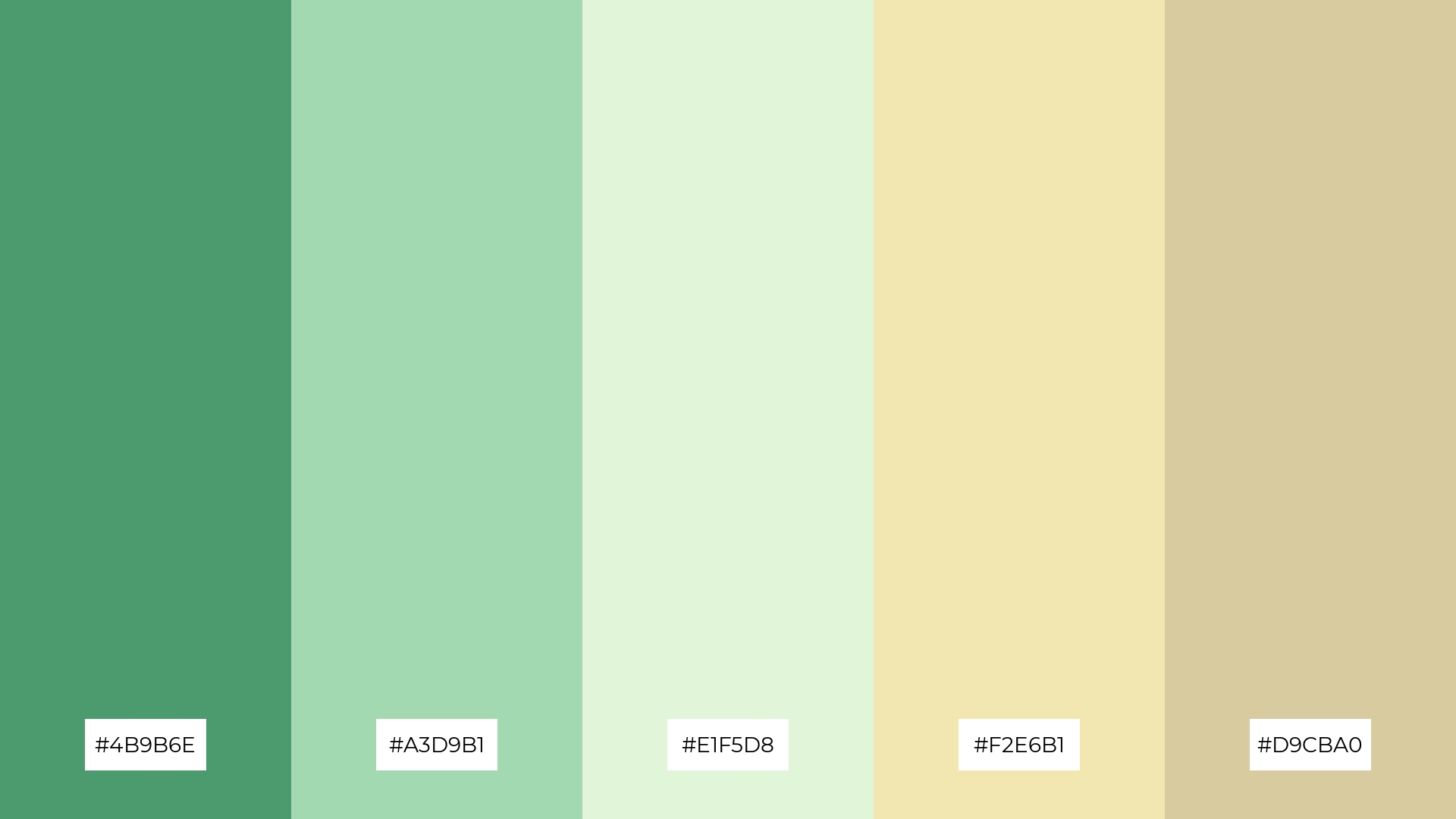 The Best 15 Rainforest Color Palette Combinations