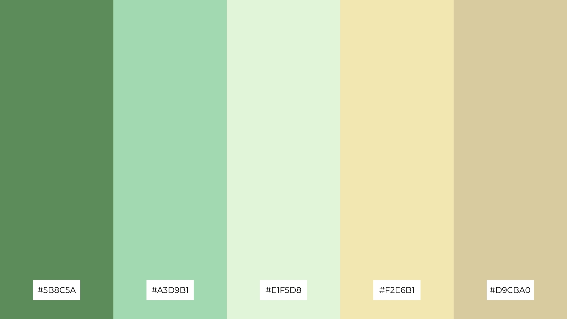 The Best 15 Rainforest Color Palette Combinations