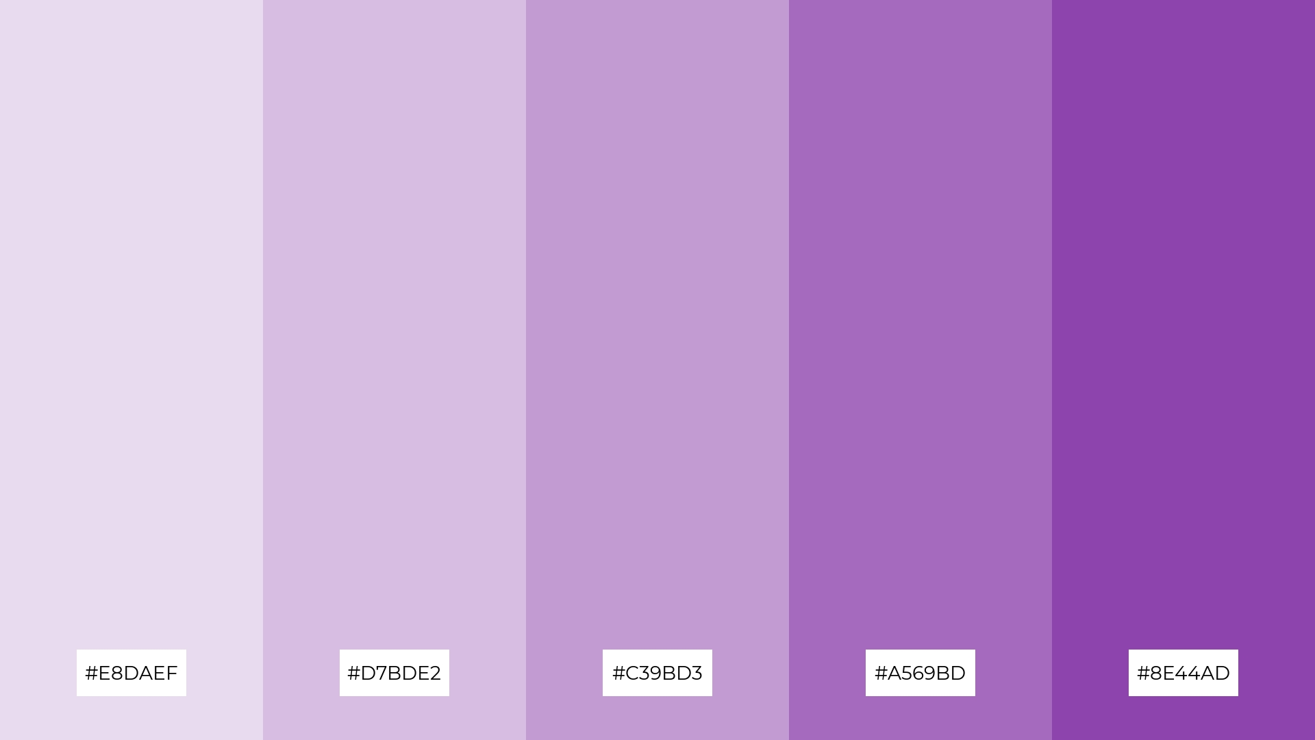The Best 15 Pharmacy Color Palette Combinations